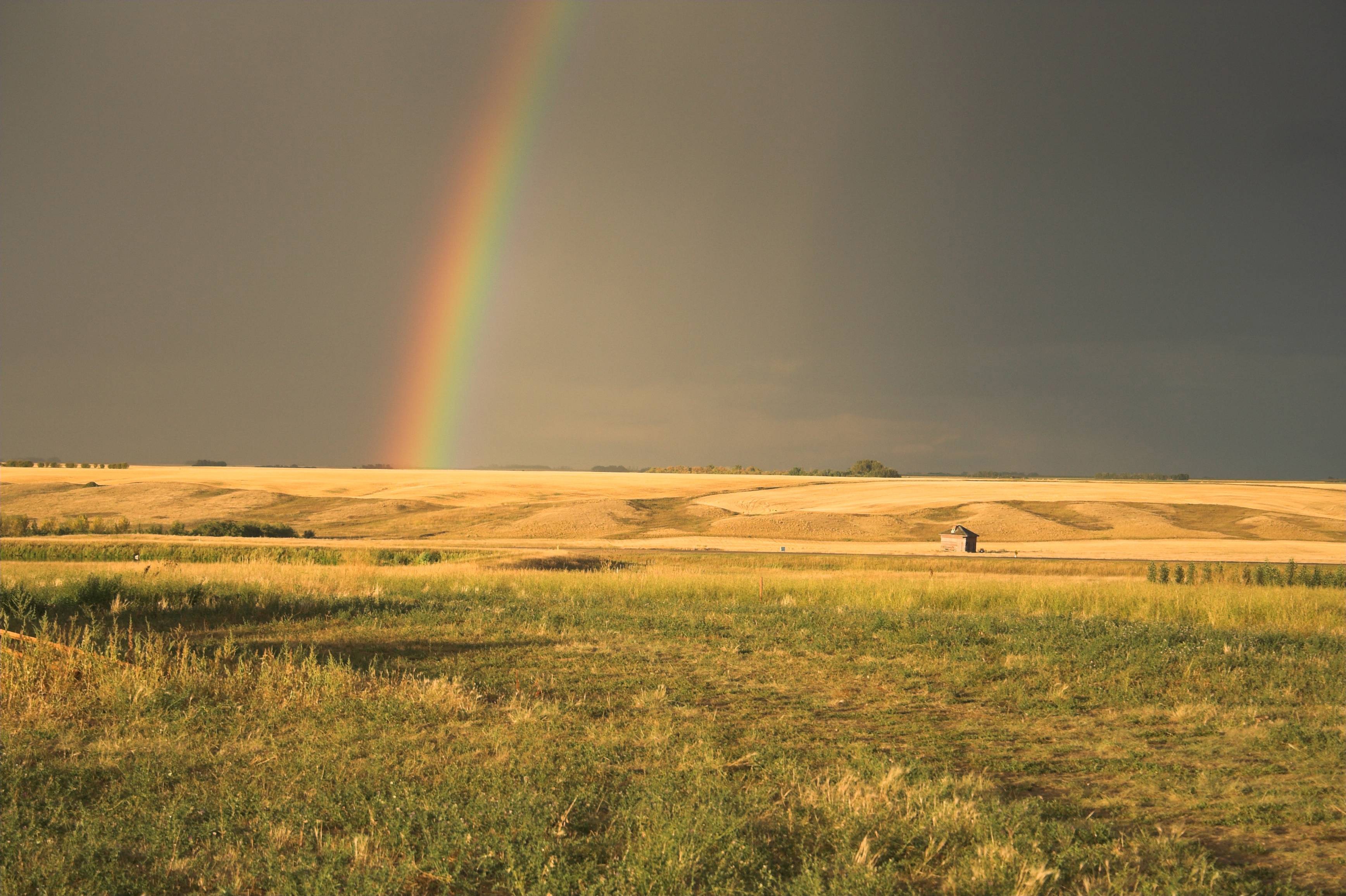 Rainbow Prairie Rain free image download