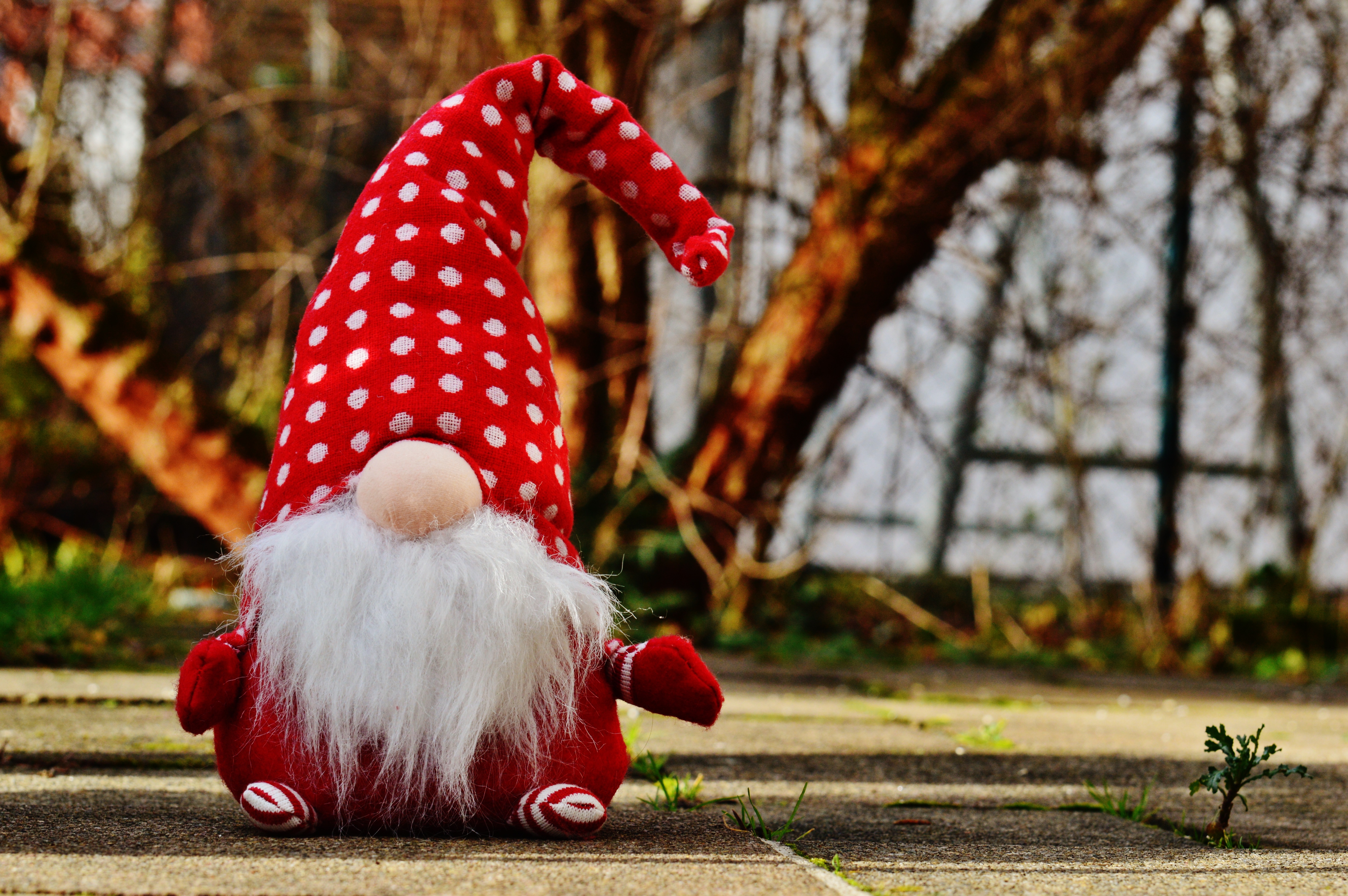 Imp Funny Cute free image download