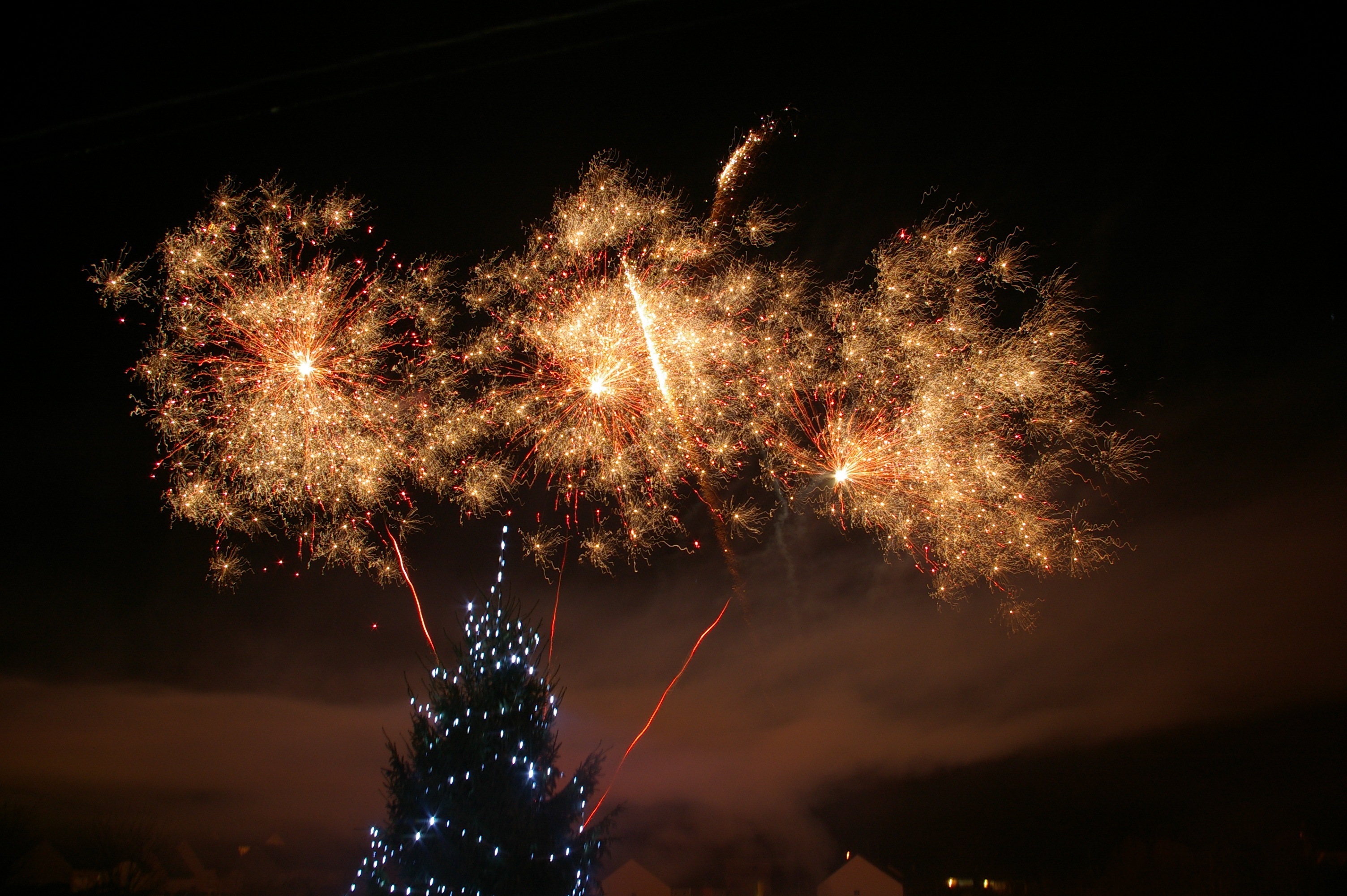 Fireworks Night Fir free image download