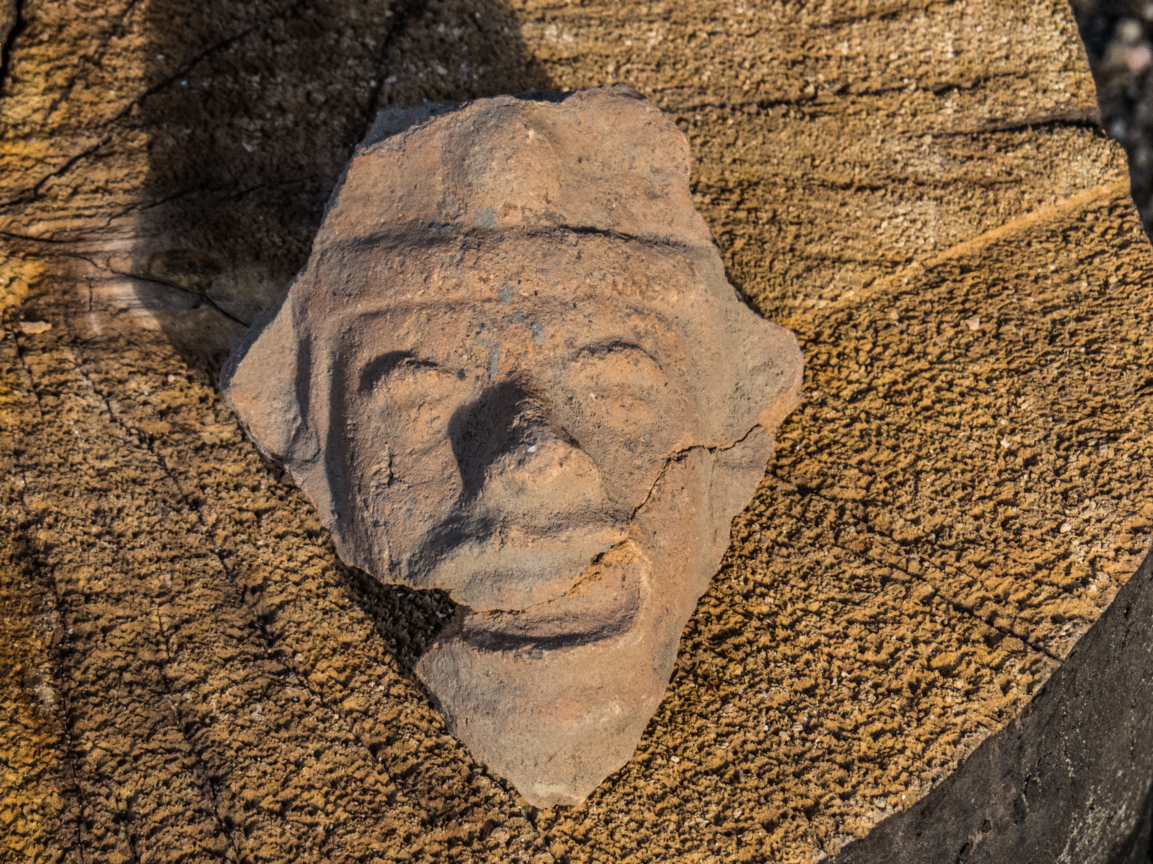 Face Earth Mud free image download