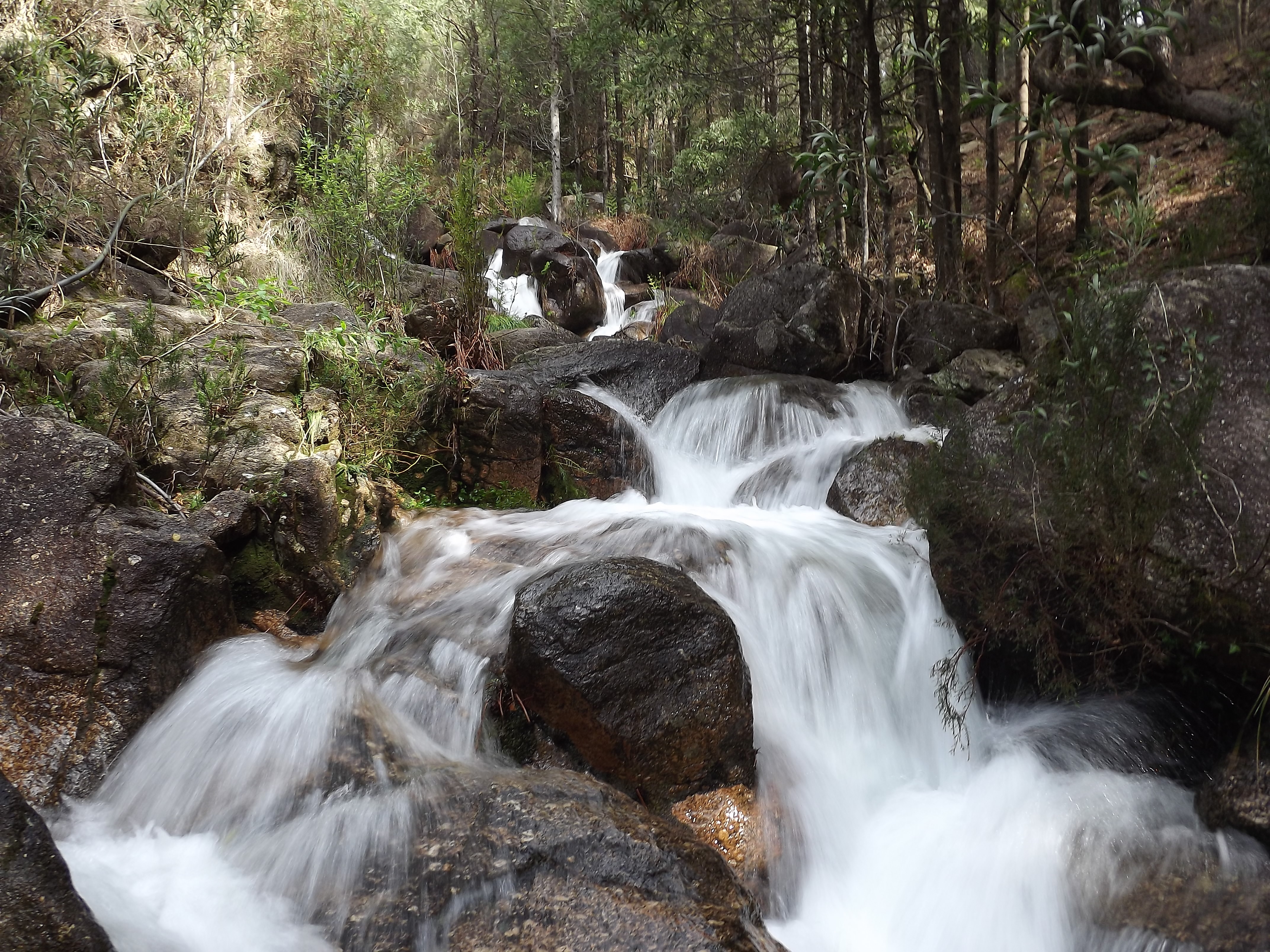 Rio Ribeira Water free image download
