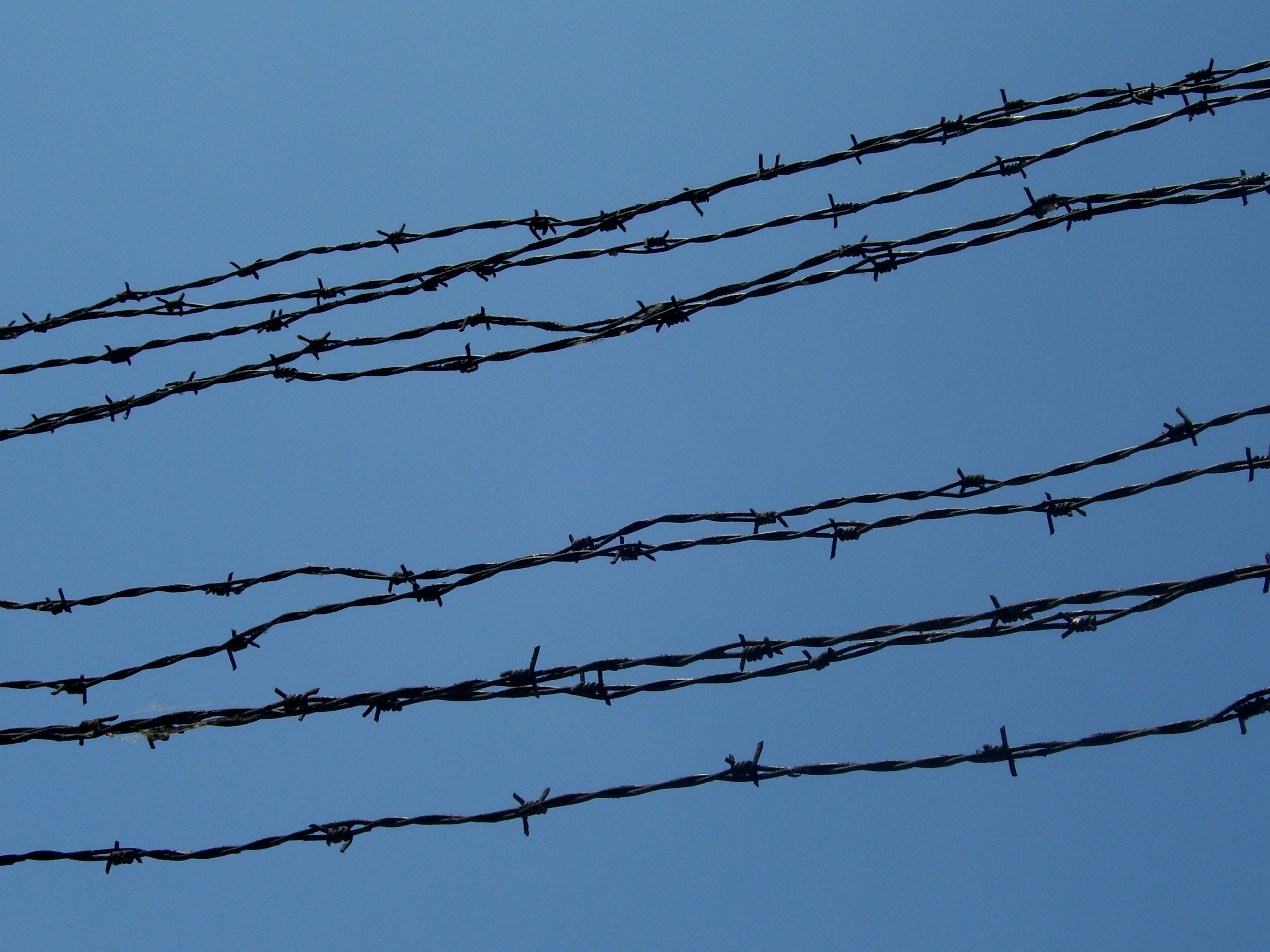 Barbed Wire Bondage Prison free image download