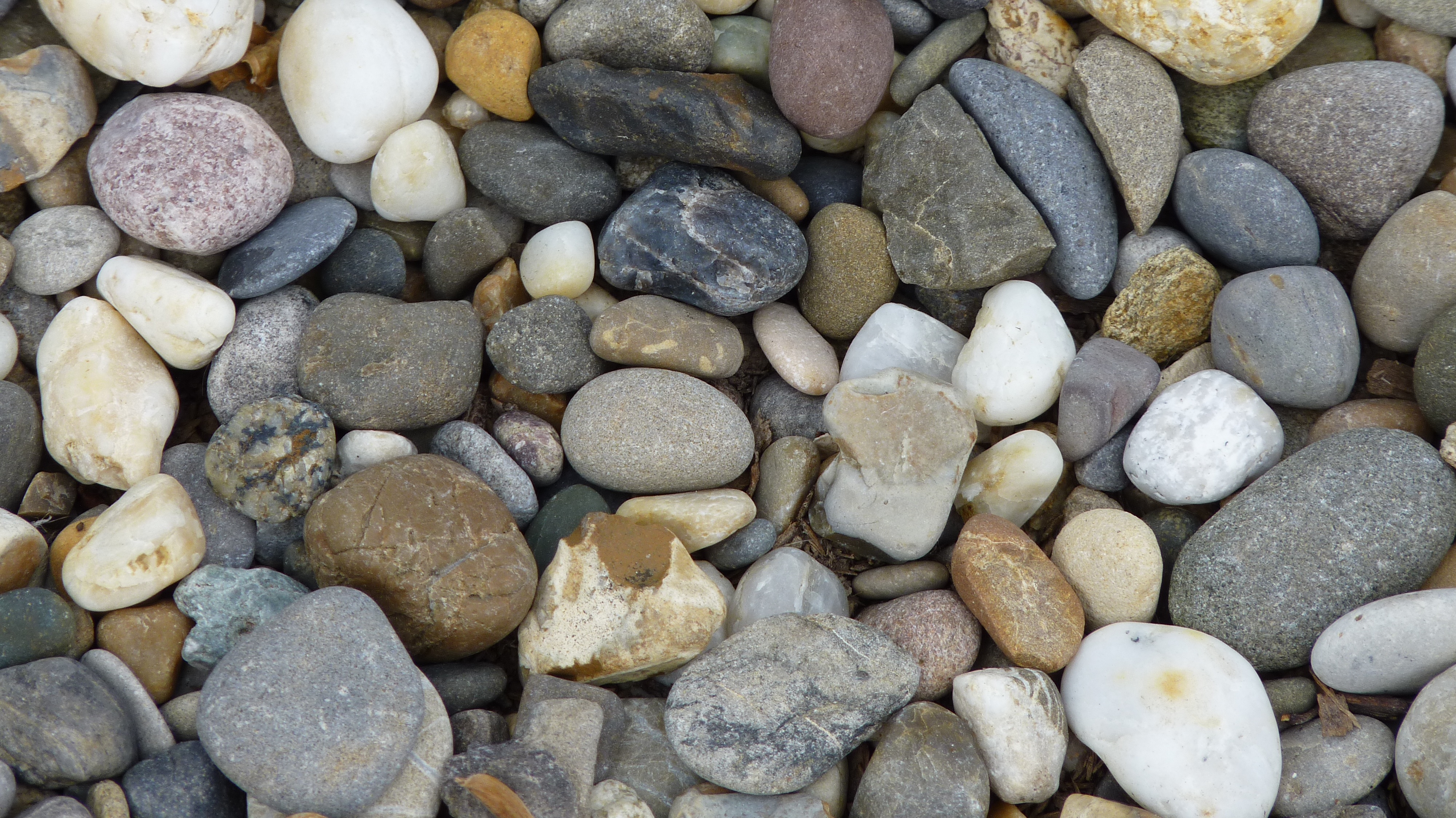Pebbles of various sizes on the coast free image download