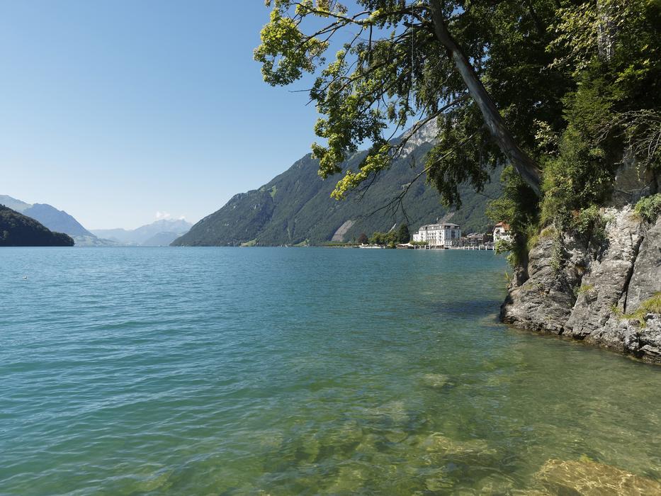 Lake Water Edge free image download