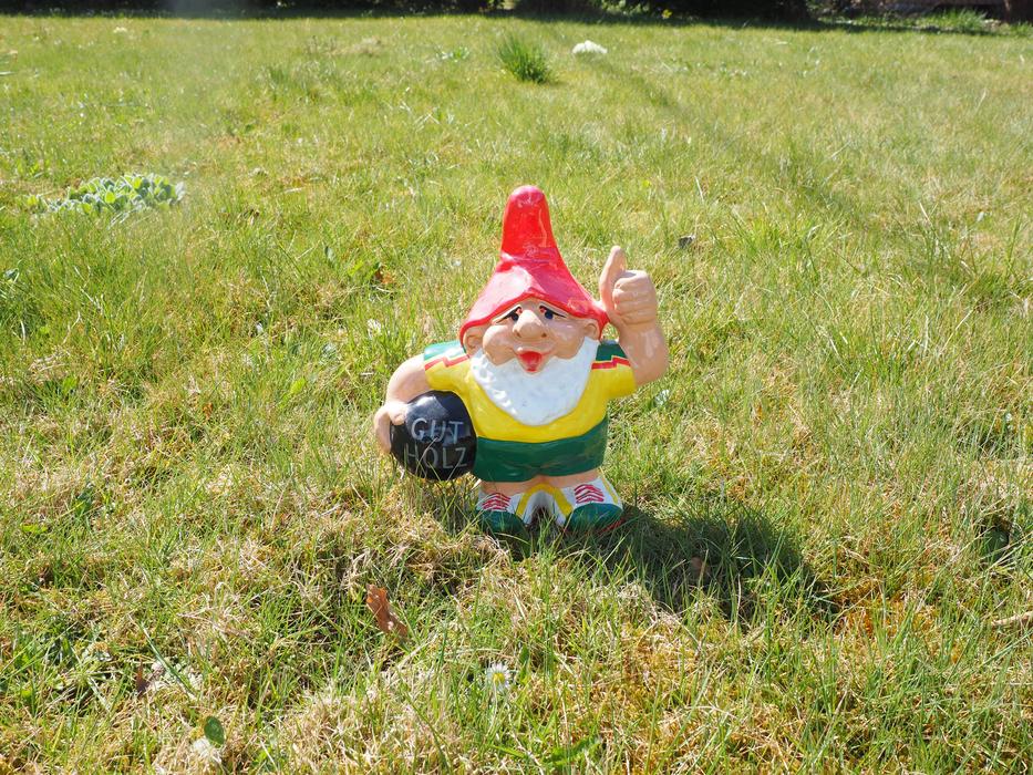 Dwarf Thumbs Up Prima Garden free image download
