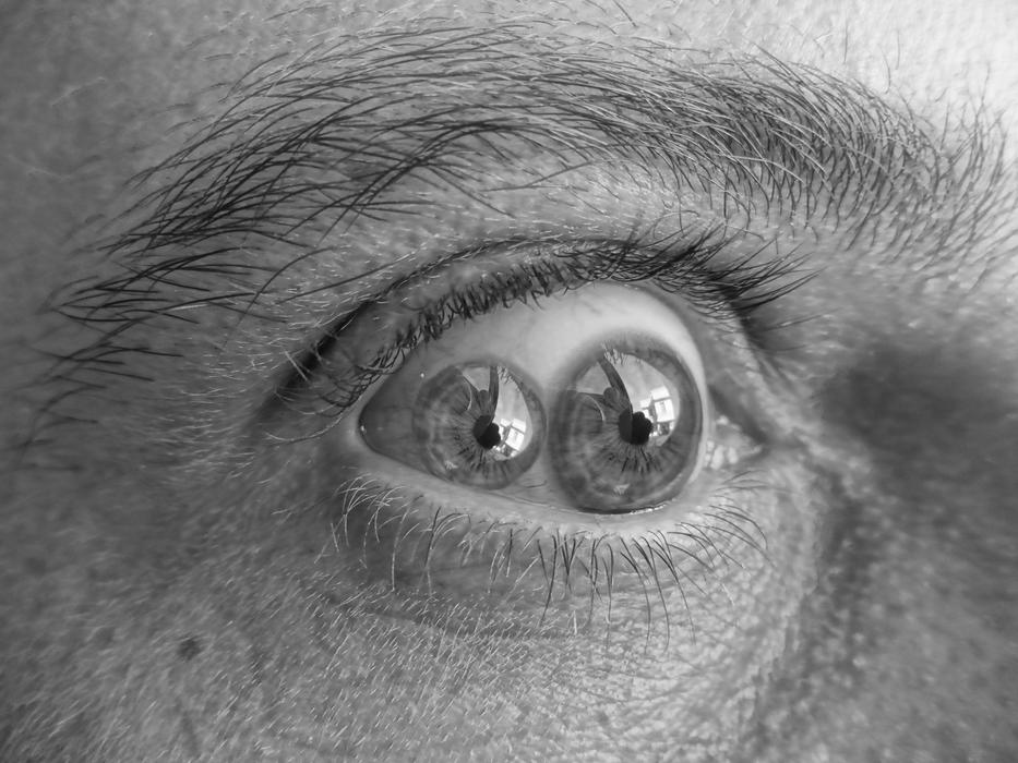 Eyes Double View Black And White free image download