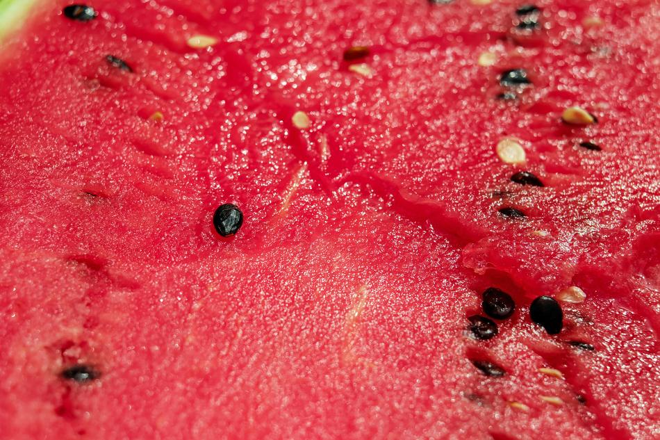Melon Watermelon Pulp free image download