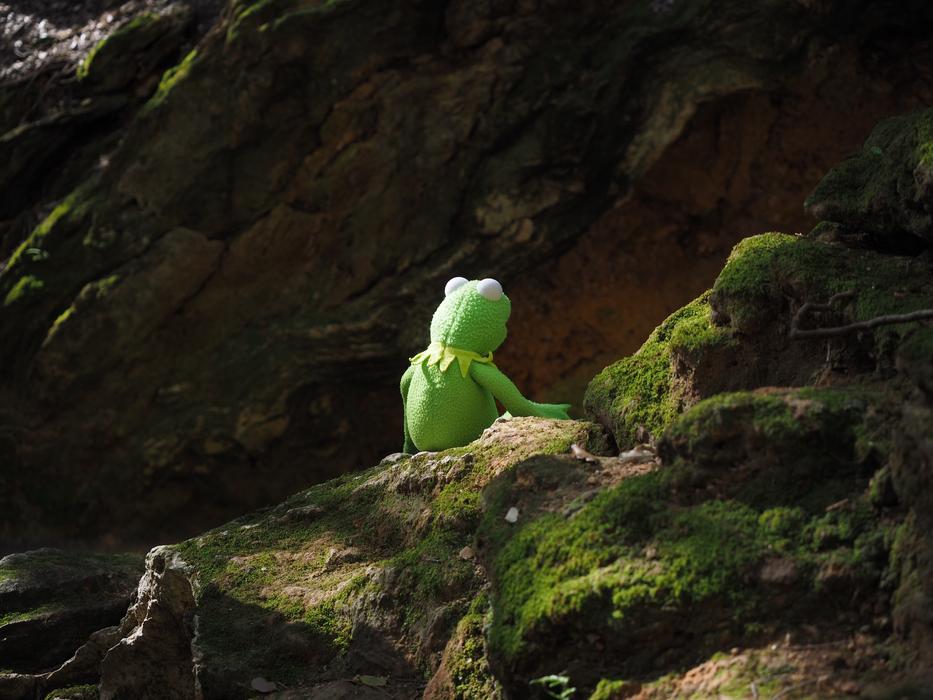 Kermit Frog Green free image download