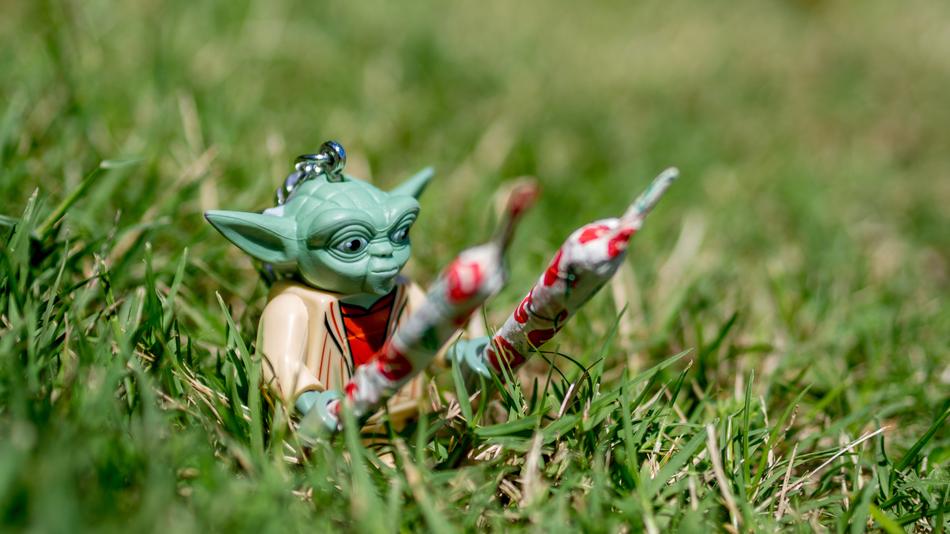 Yoda Grass Perspective free image download