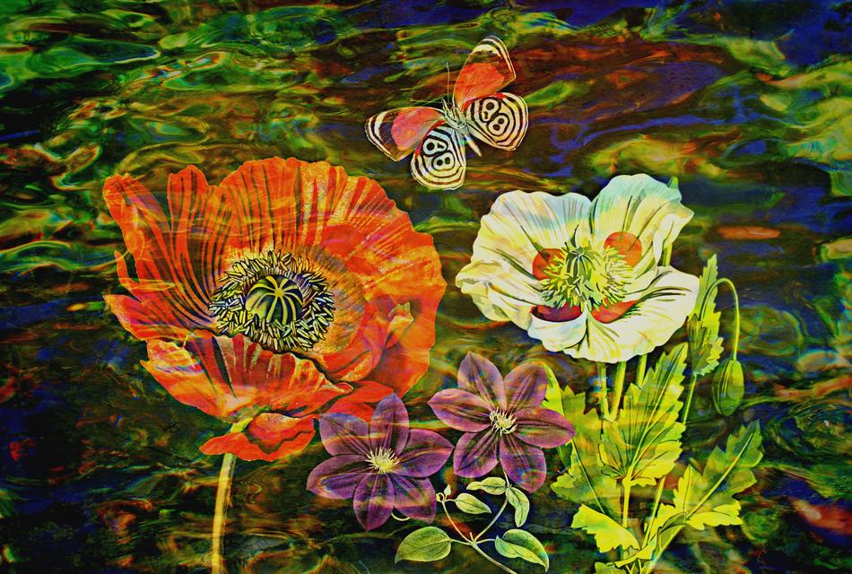 Art painting rainbow reflections free image download