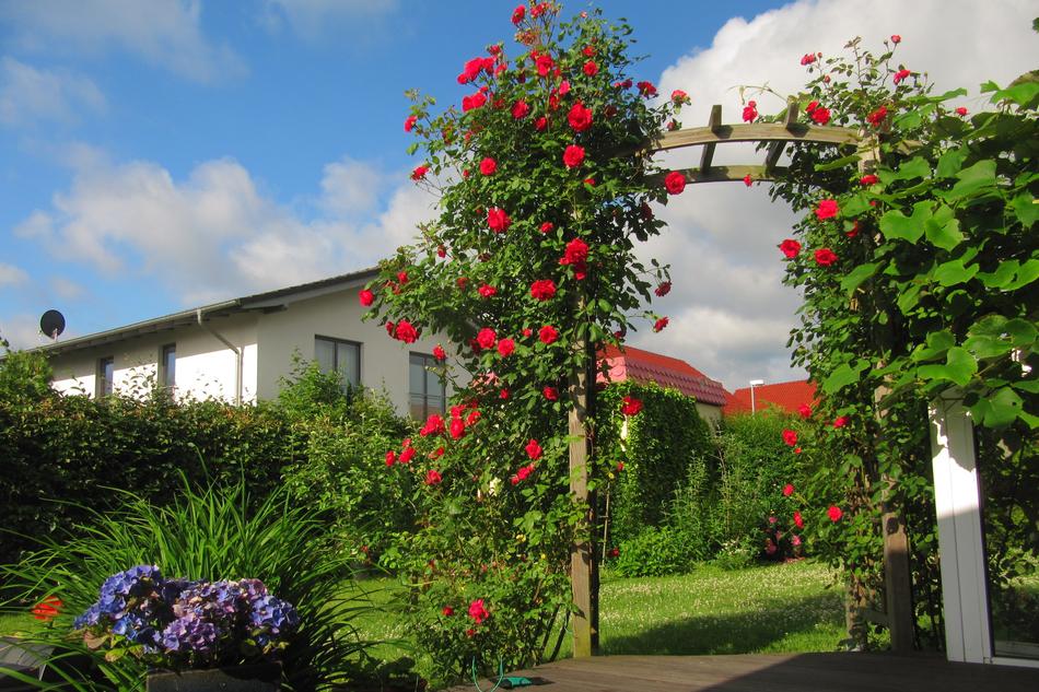Rose Arch Terrace free image download