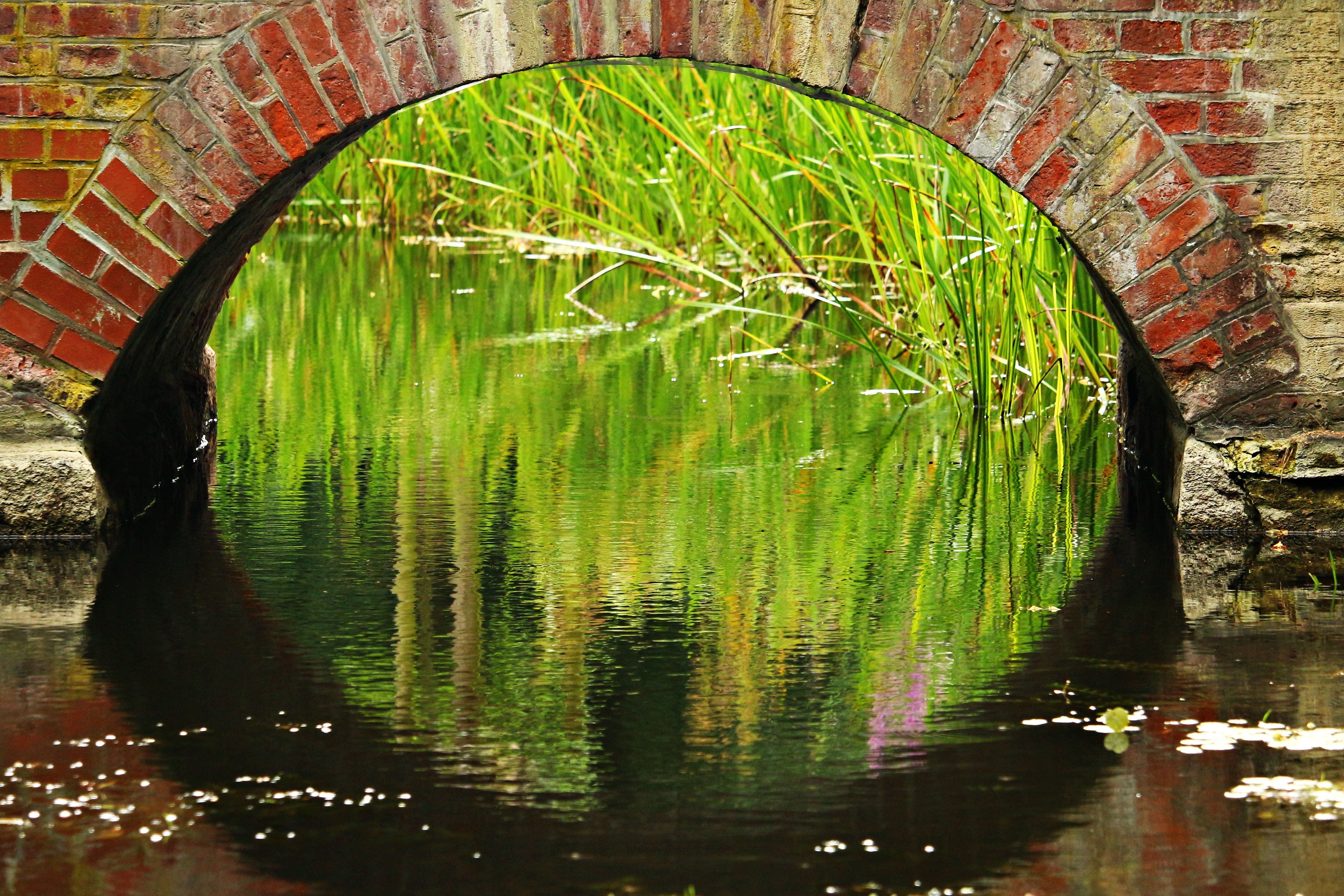 Bridge Water Arch free image download