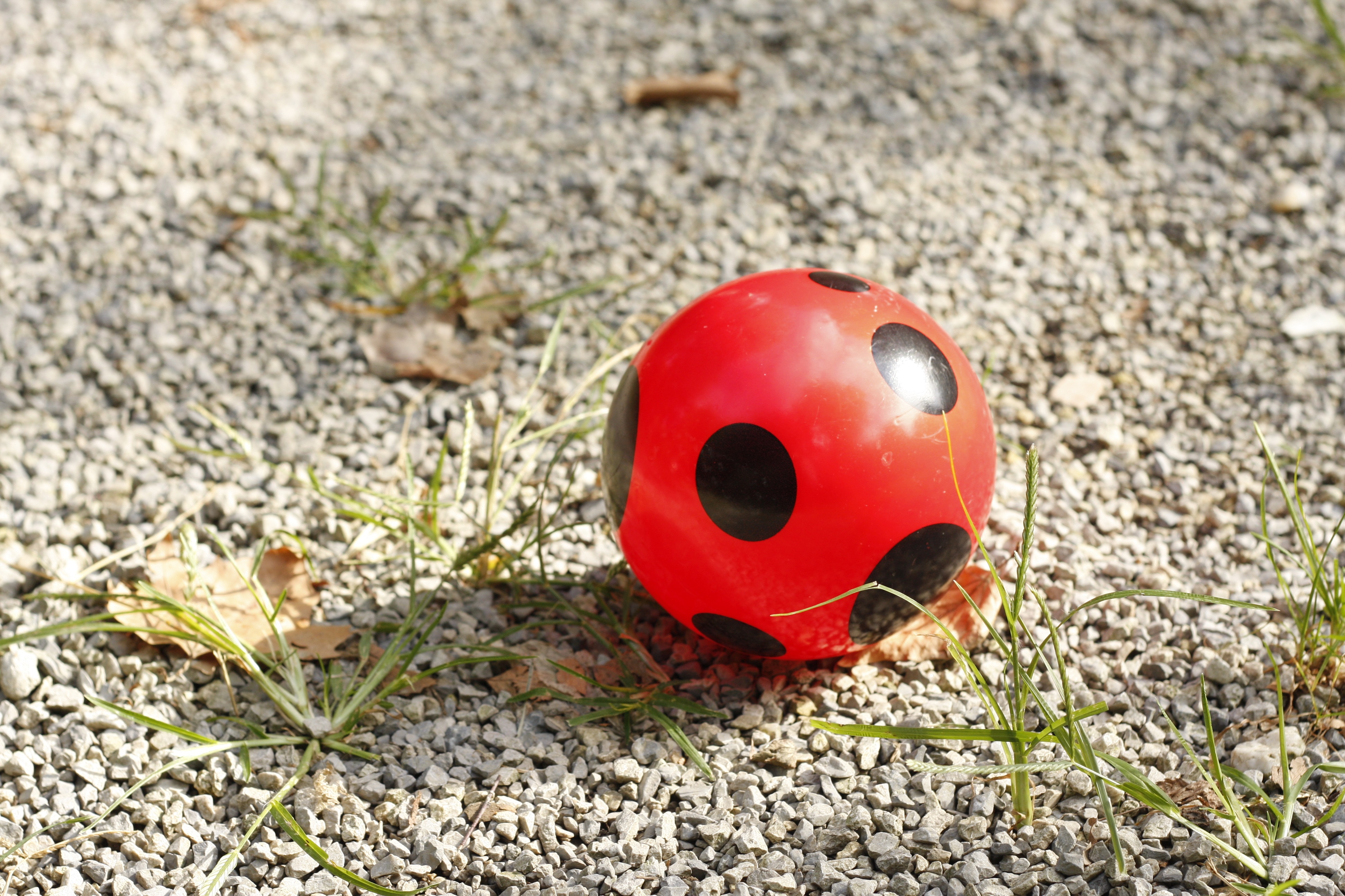 Ball Red Shiny free image download