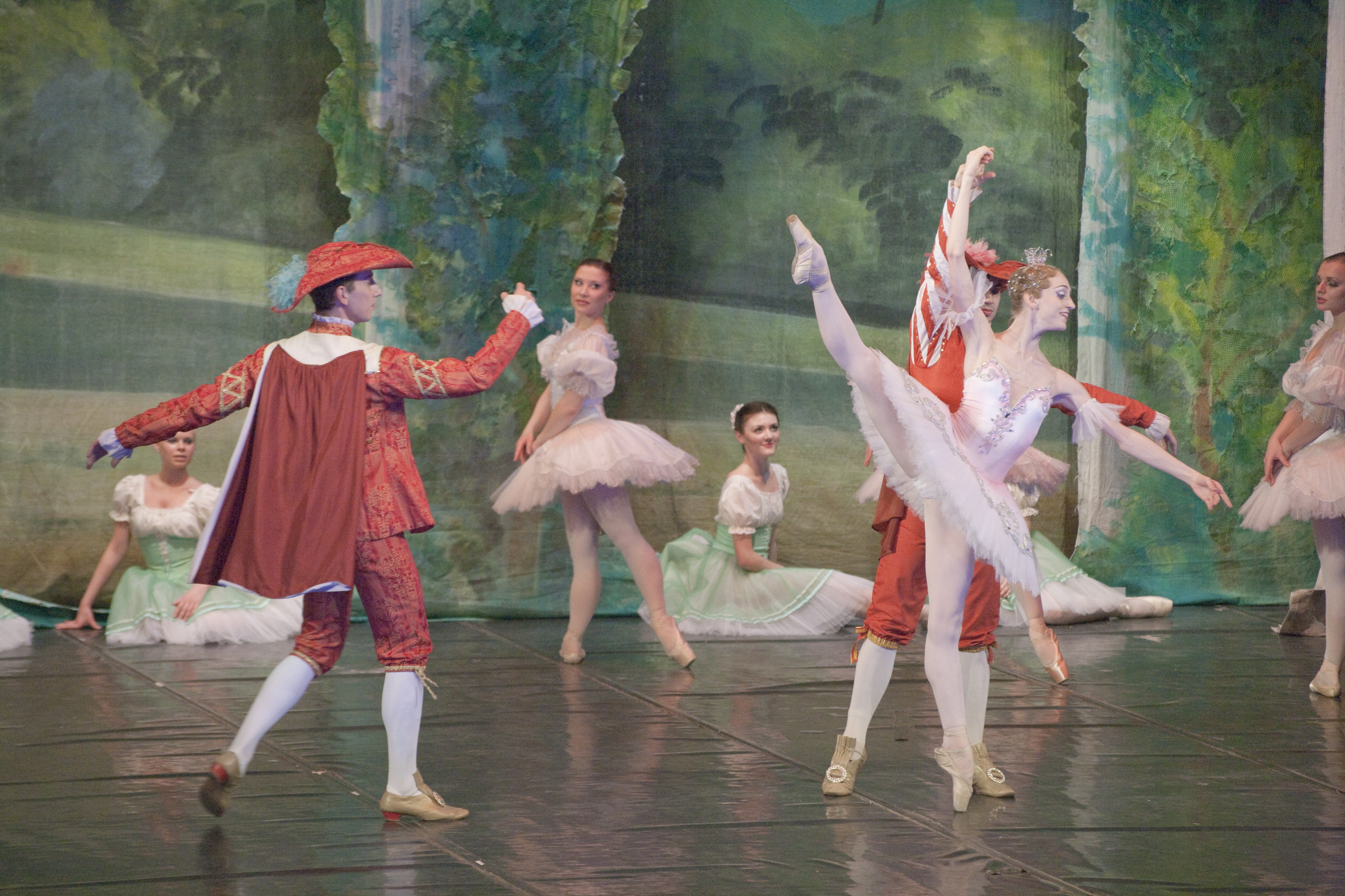 Ballet Theatre Performance free image download