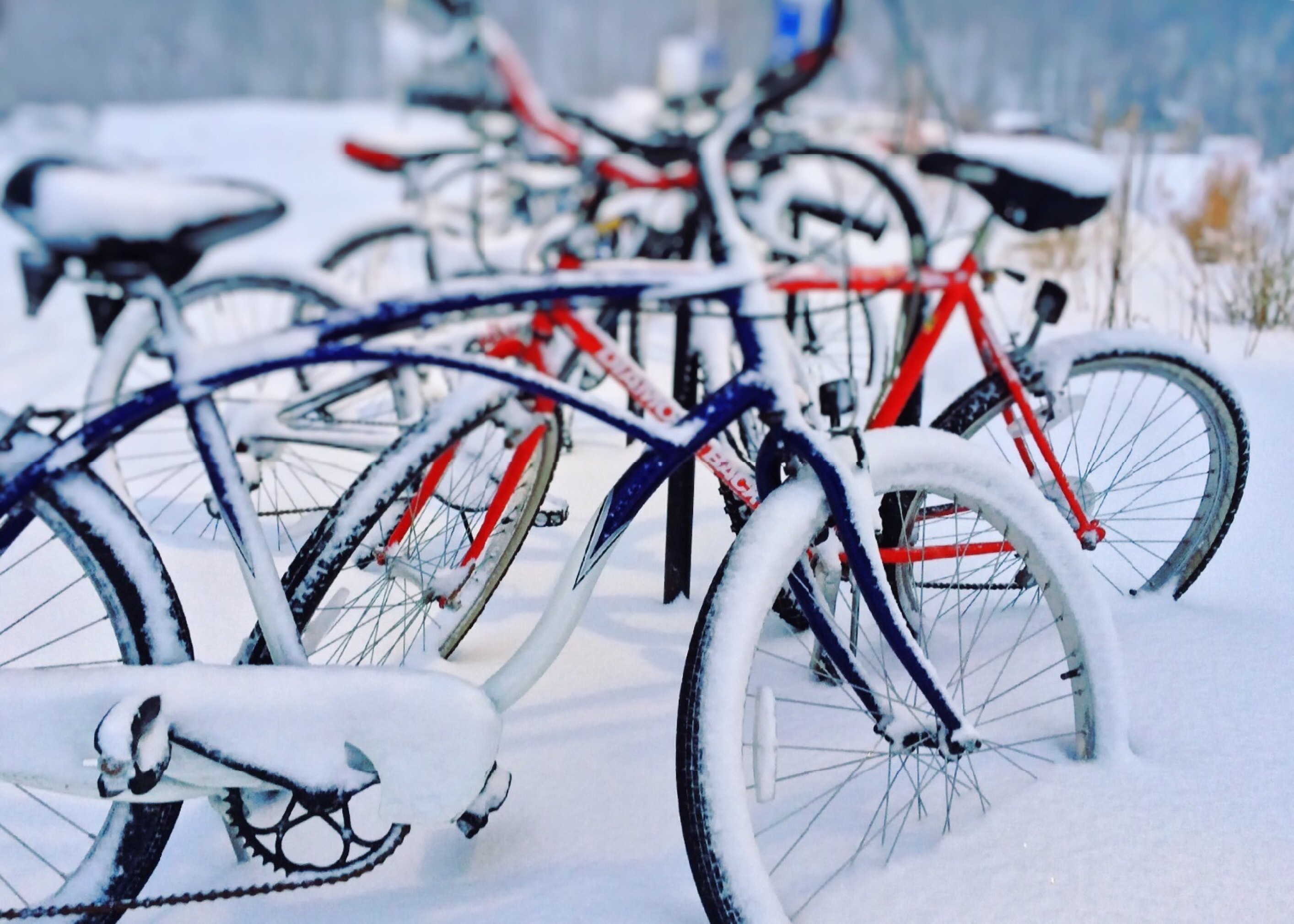 Bicycles Winter Snow free image download