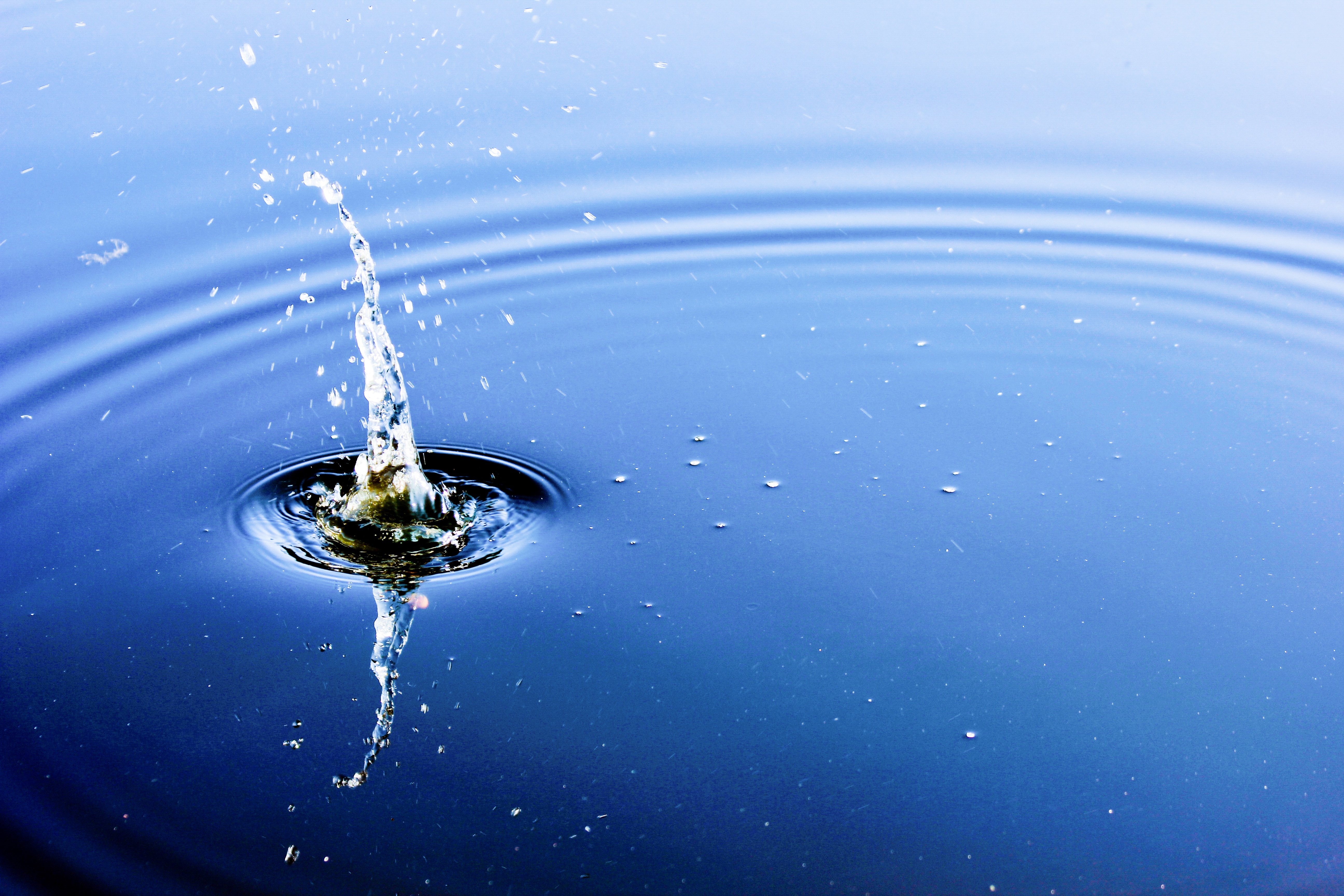 Water Drip Circle free image download