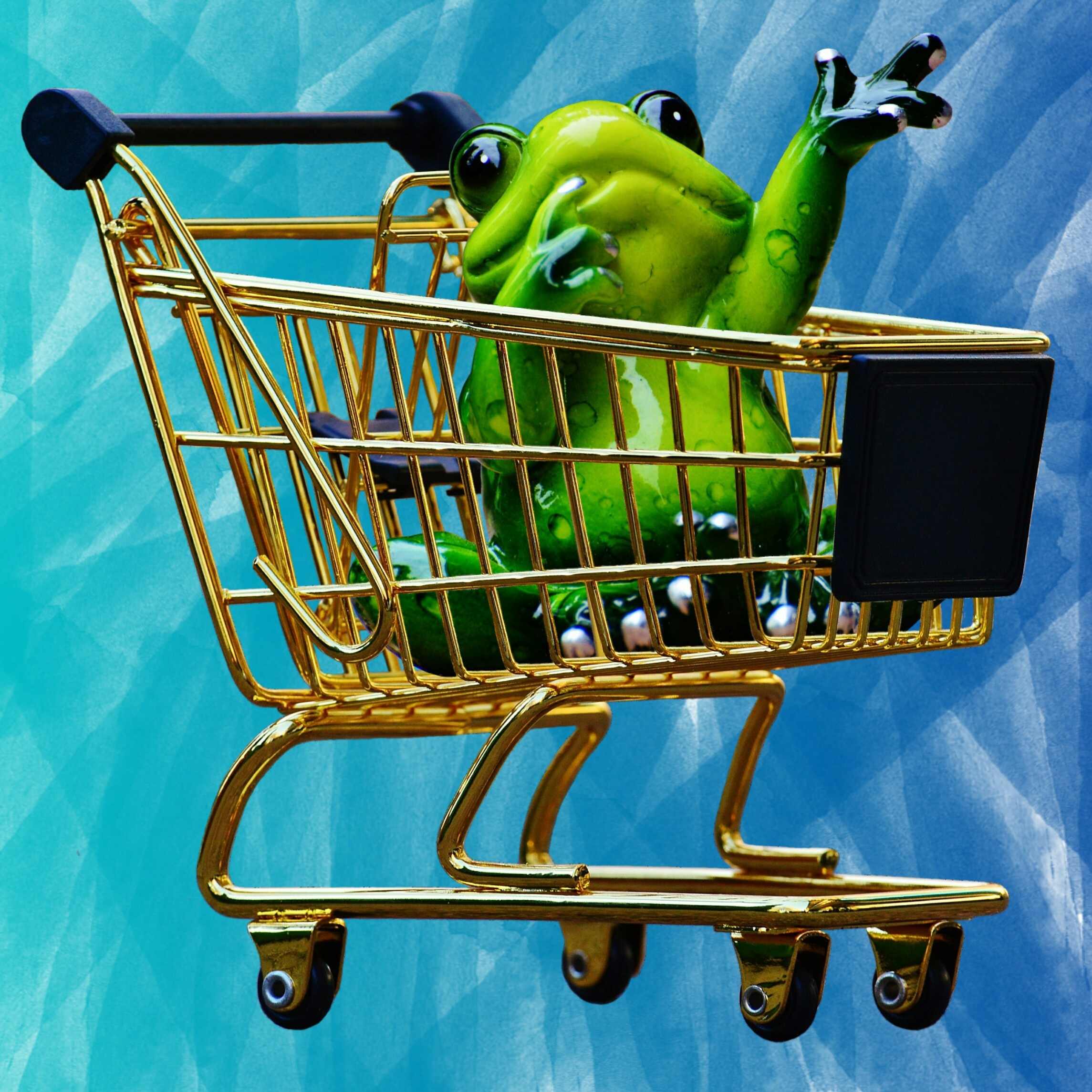 Frog wave shopping cart funny free image download