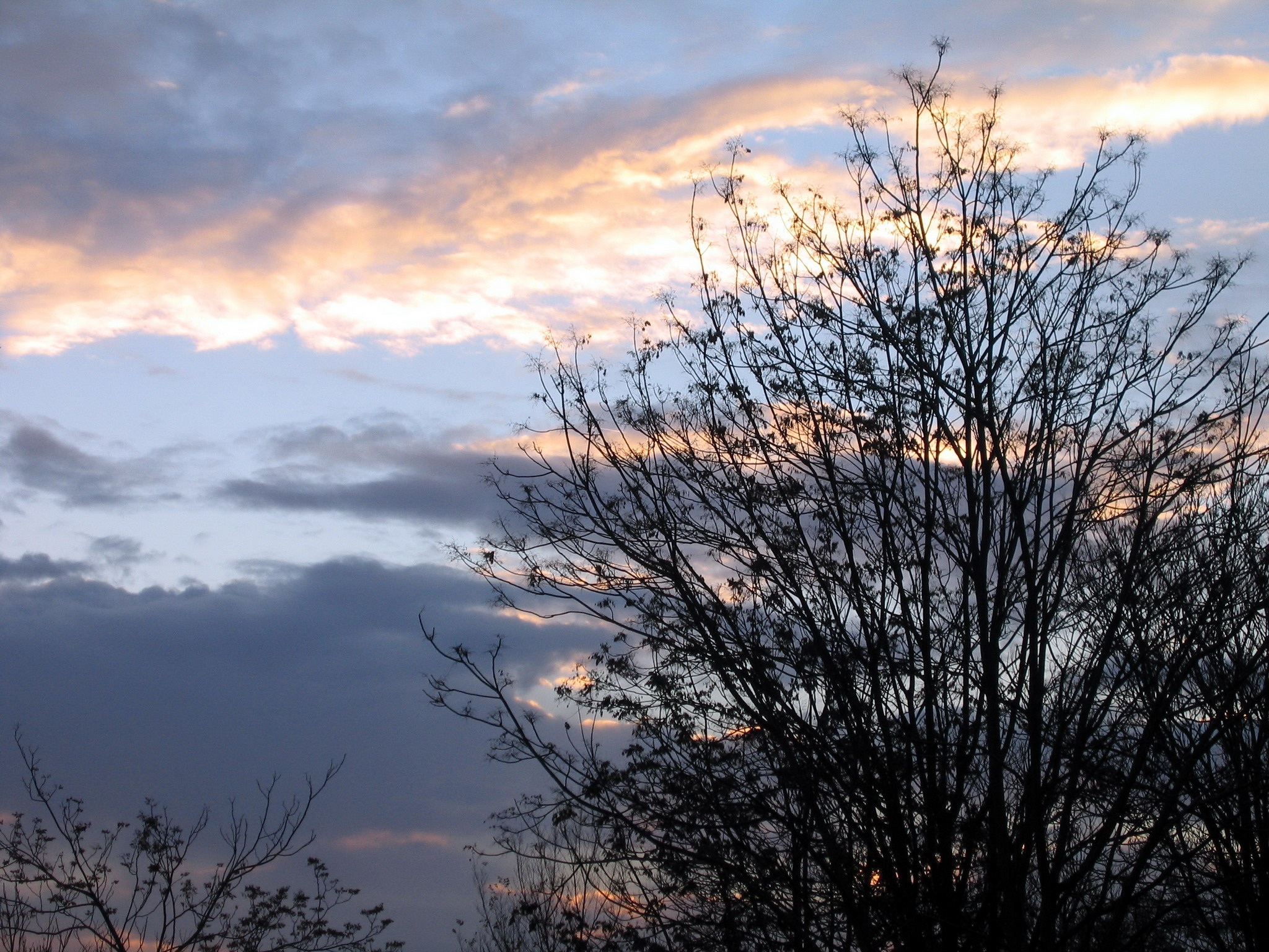 Dawn Morning free image download