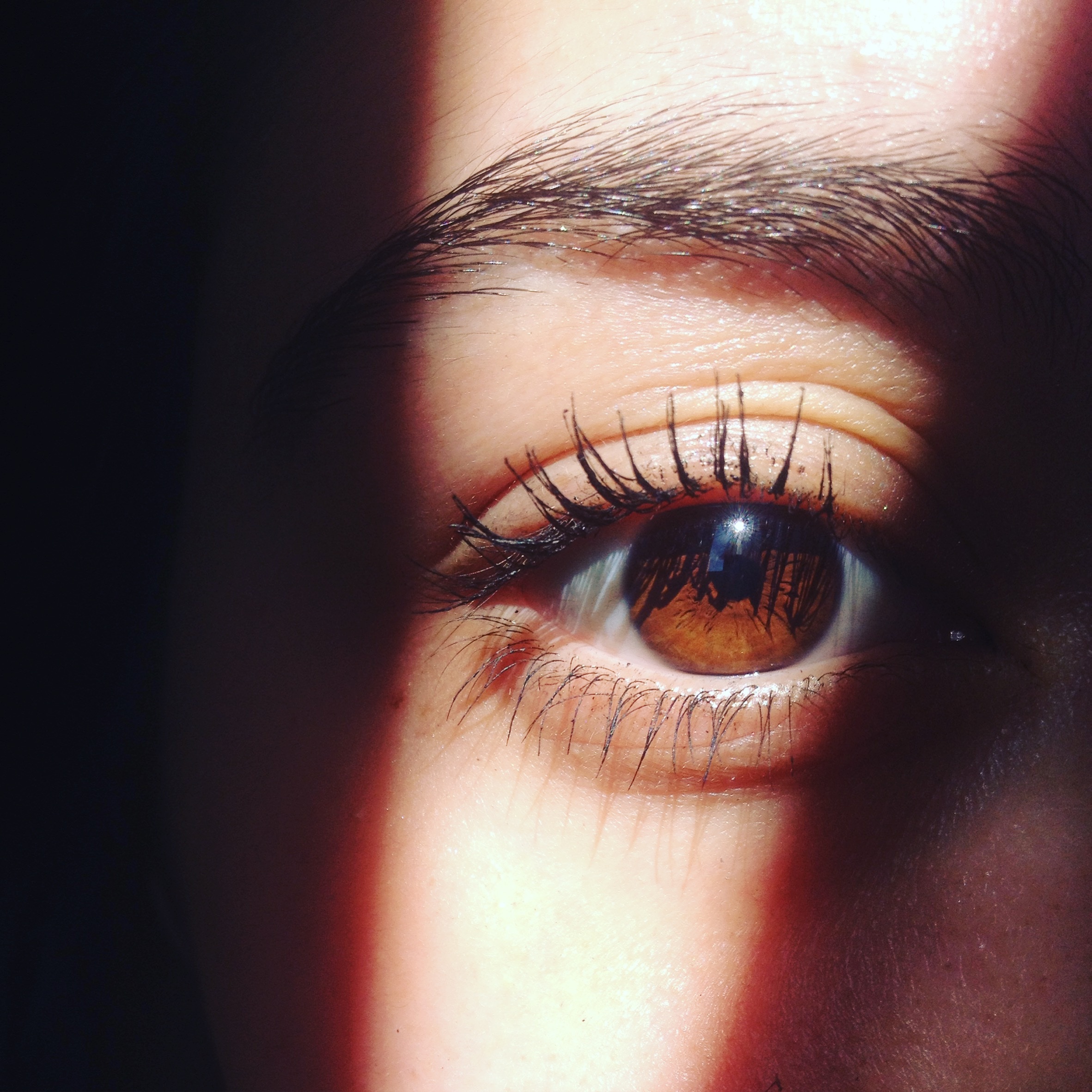 Eye Brown free image download