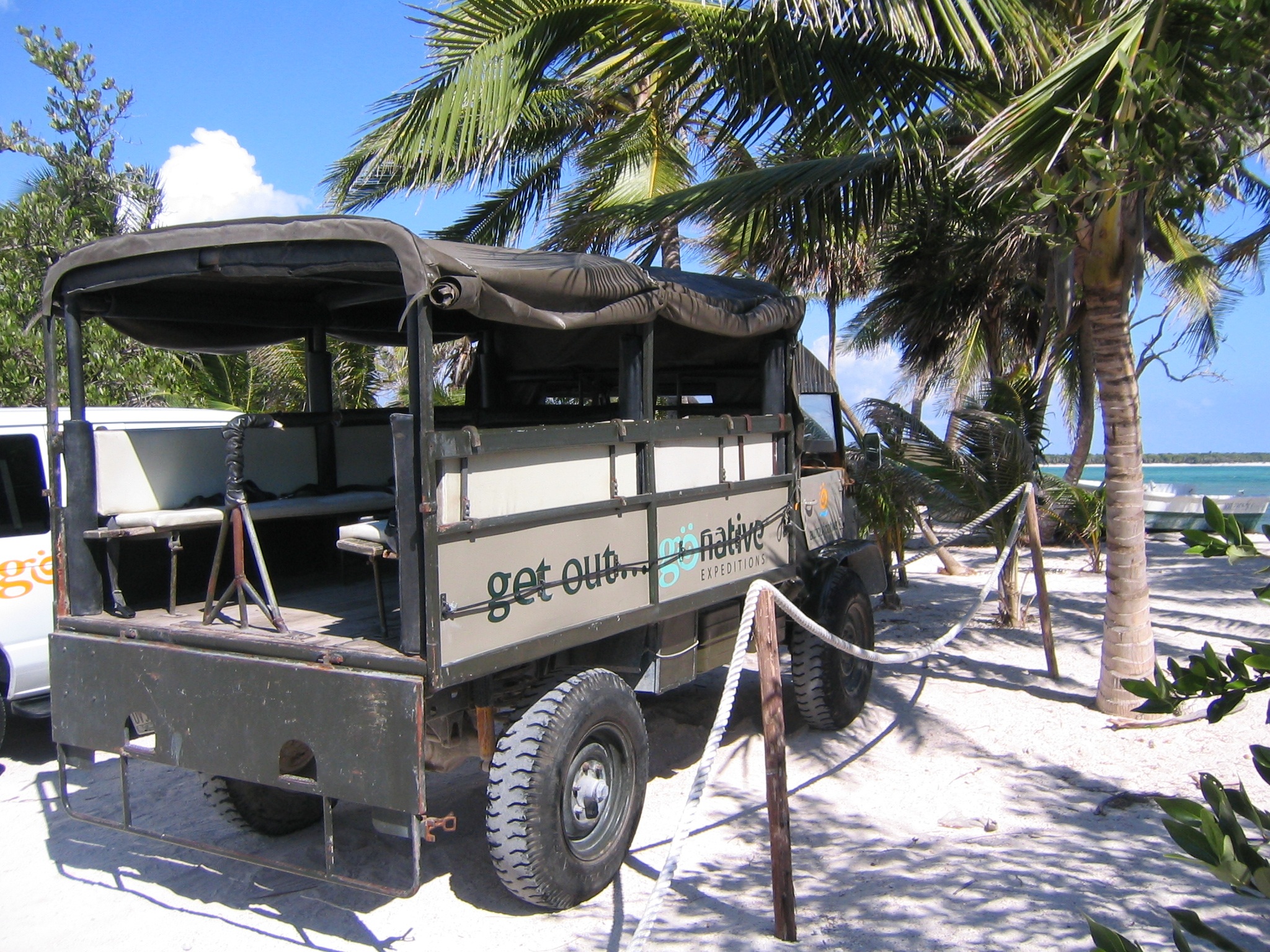 Sea Palm Trees Auto free image download