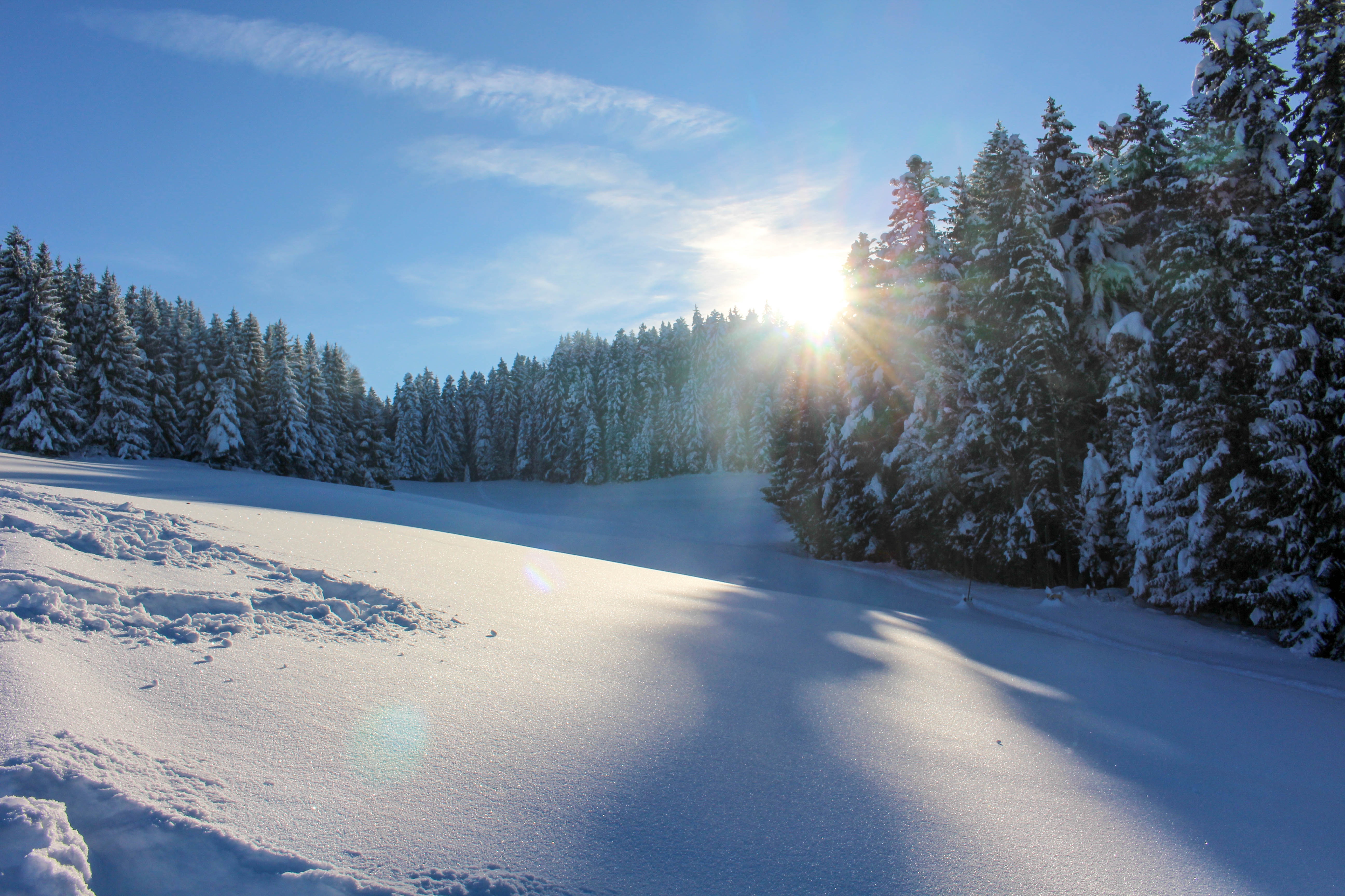 Snow Sun free image download