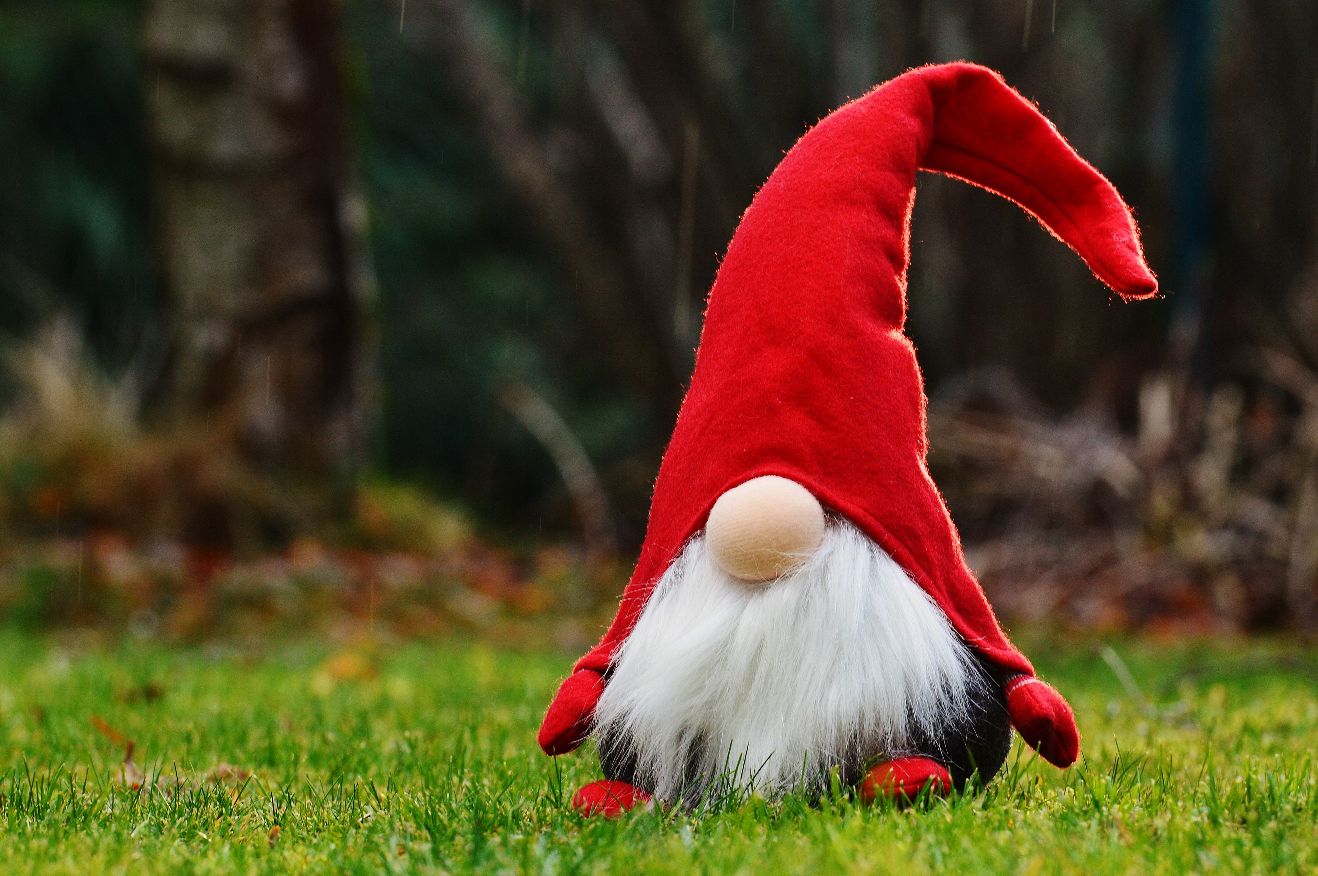 Imp Funny Cute free image download