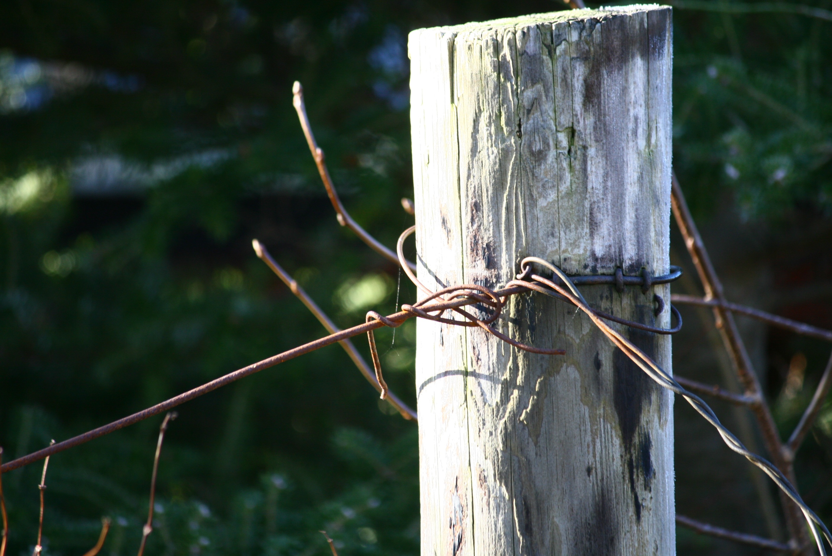 Pole Wood Wire free image download