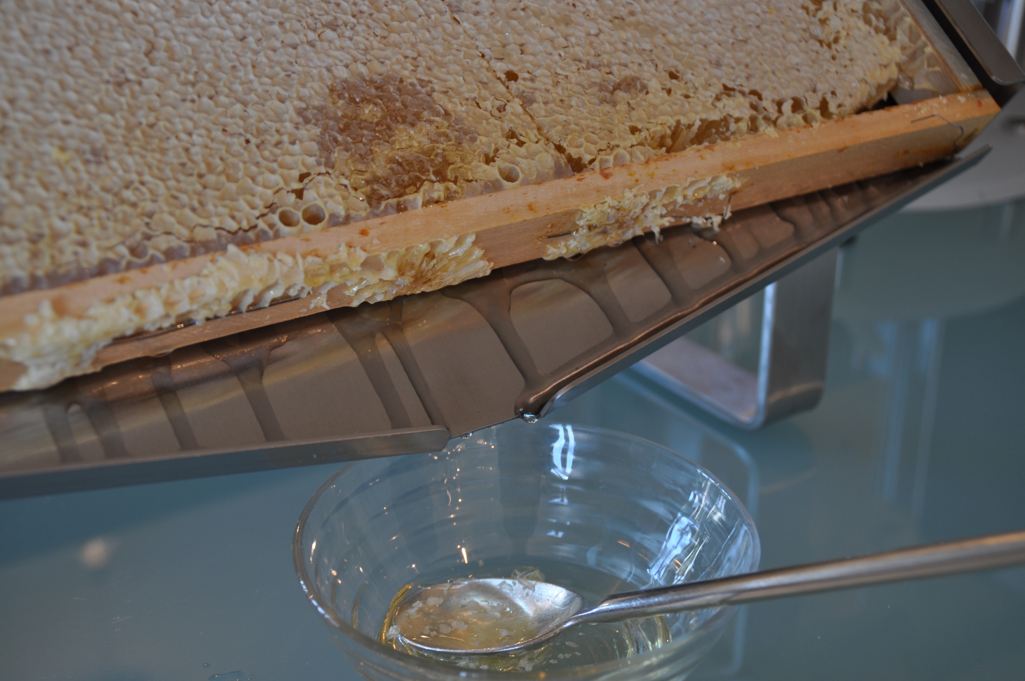 Honey Breakfast Buffet free image download