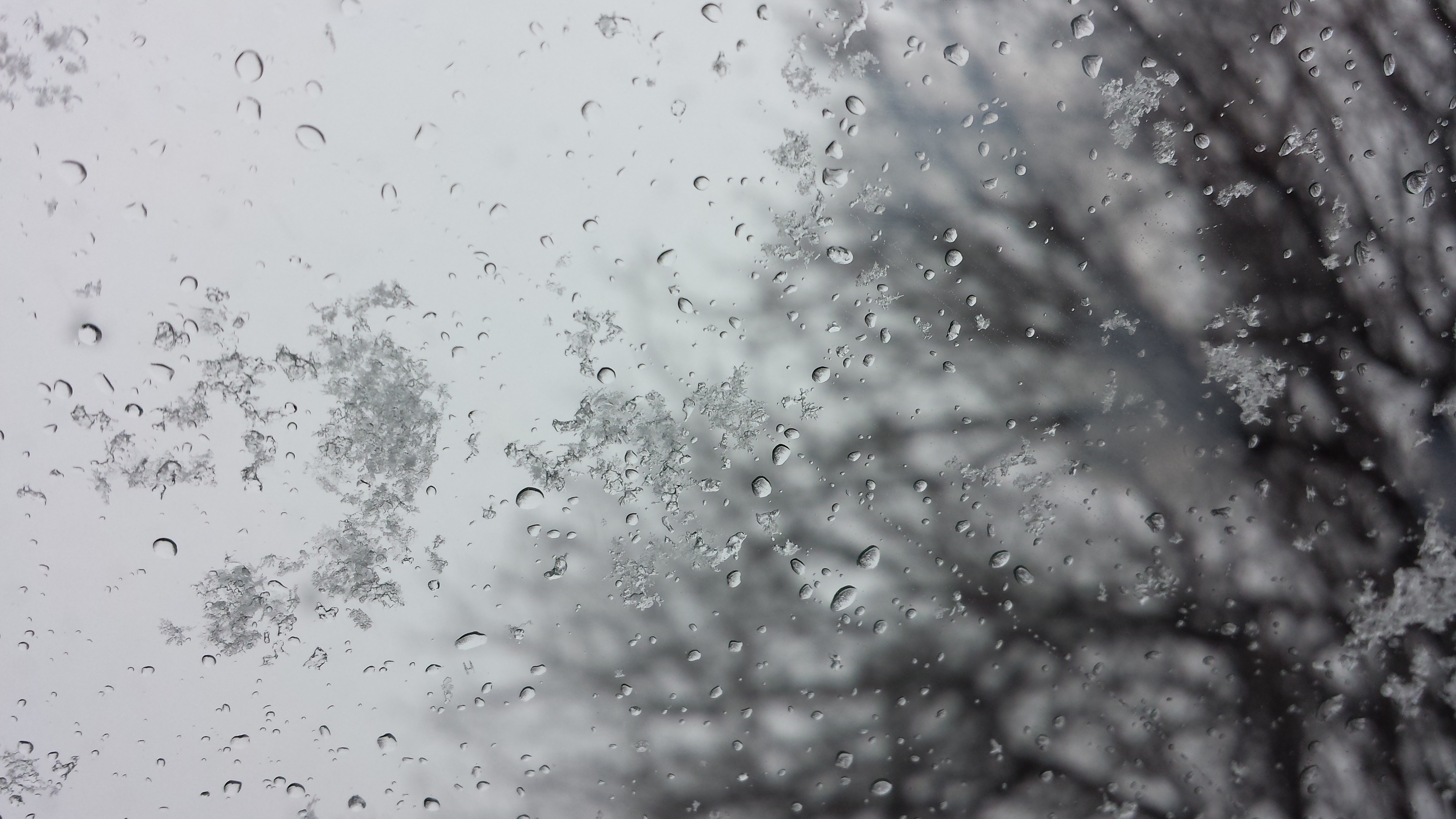 Rain Snow Winter free image download