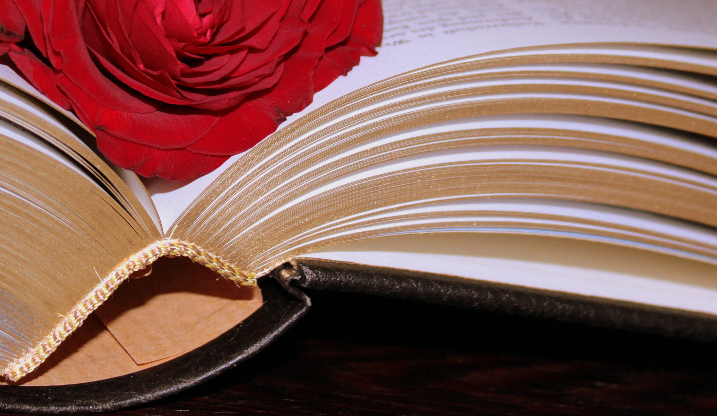Book Bound Gold Edge free image download
