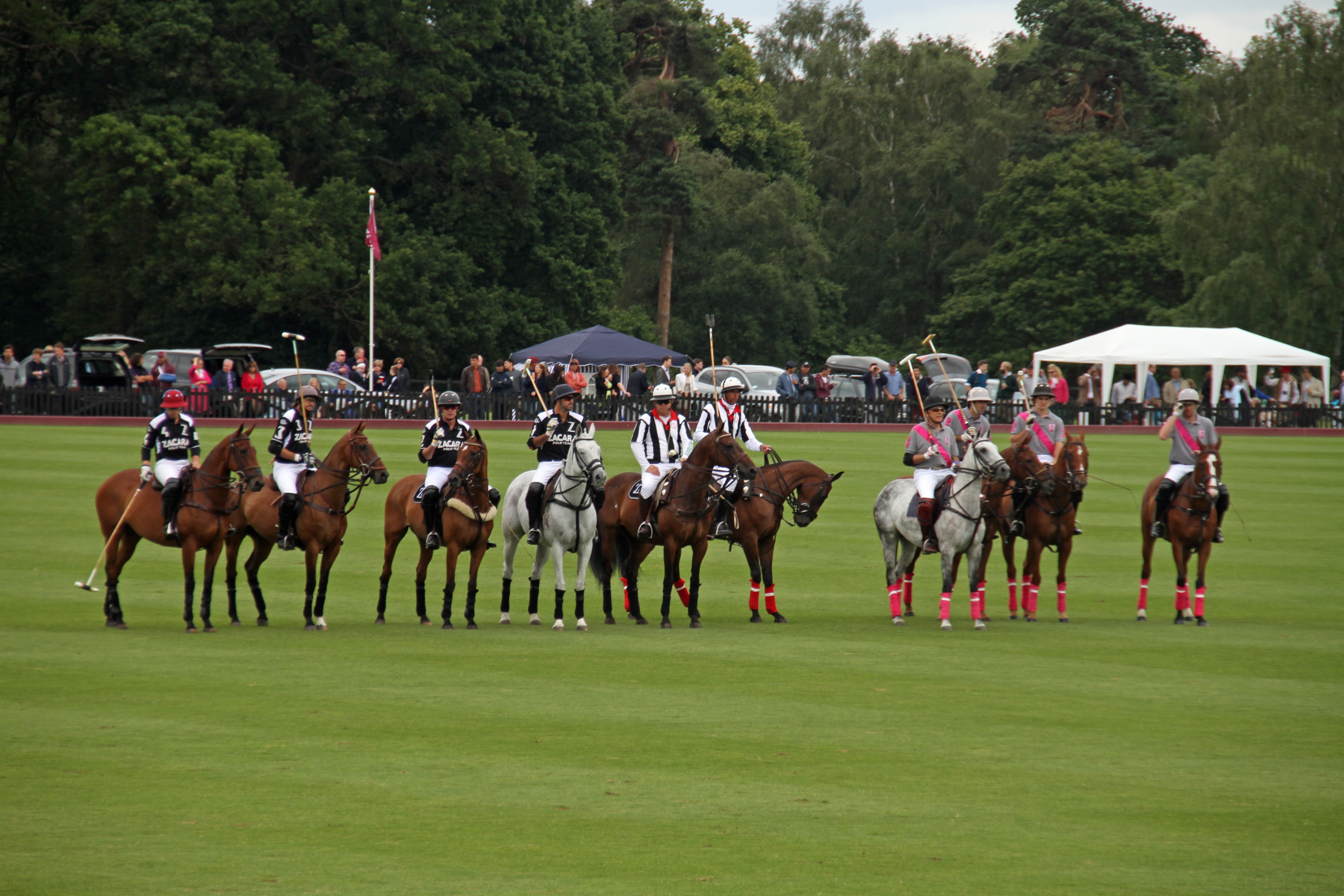 Polo Team Competition free image download