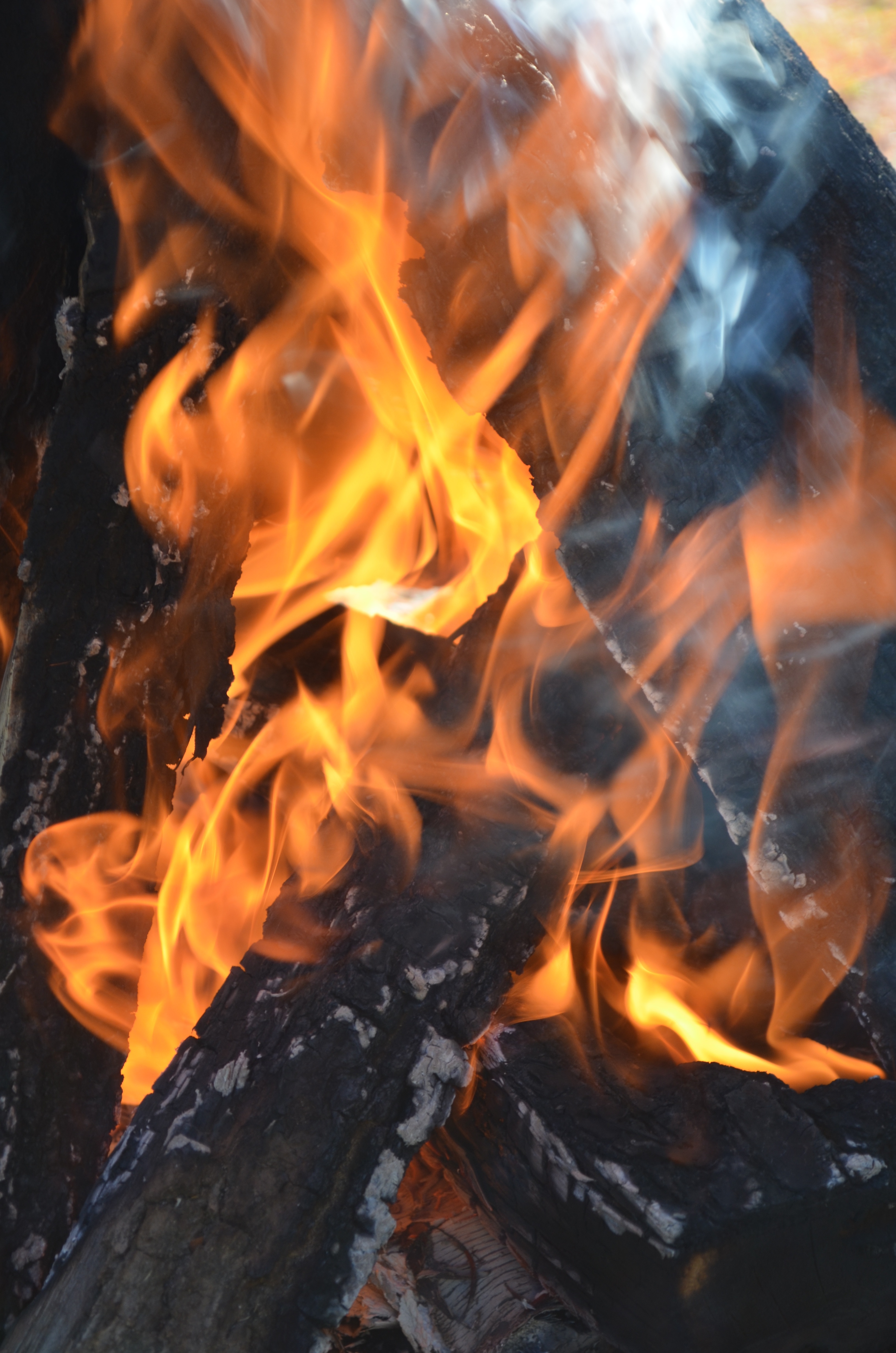 Fire An Outbreak Of The Flame free image download