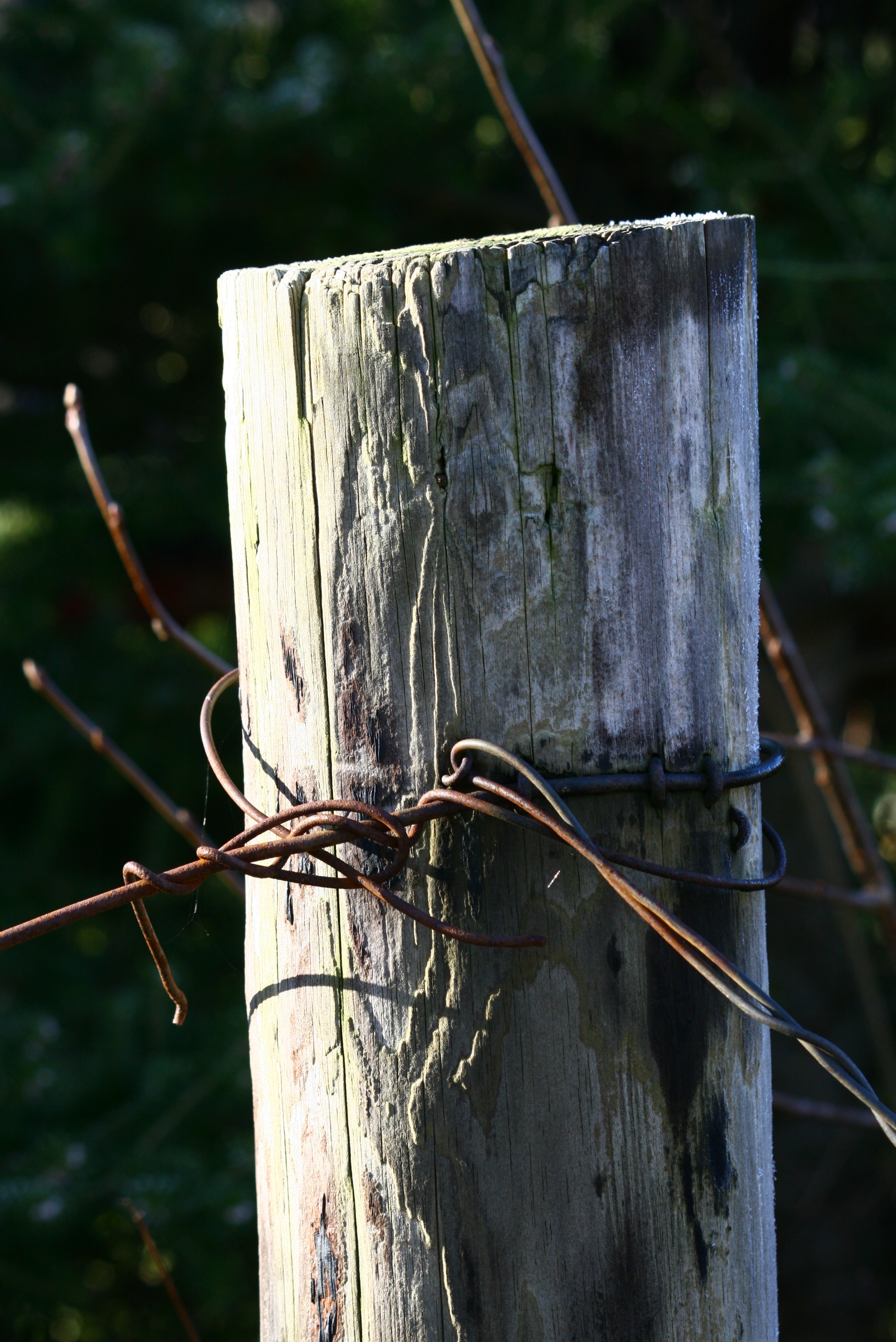 Pole Wood Wire free image download