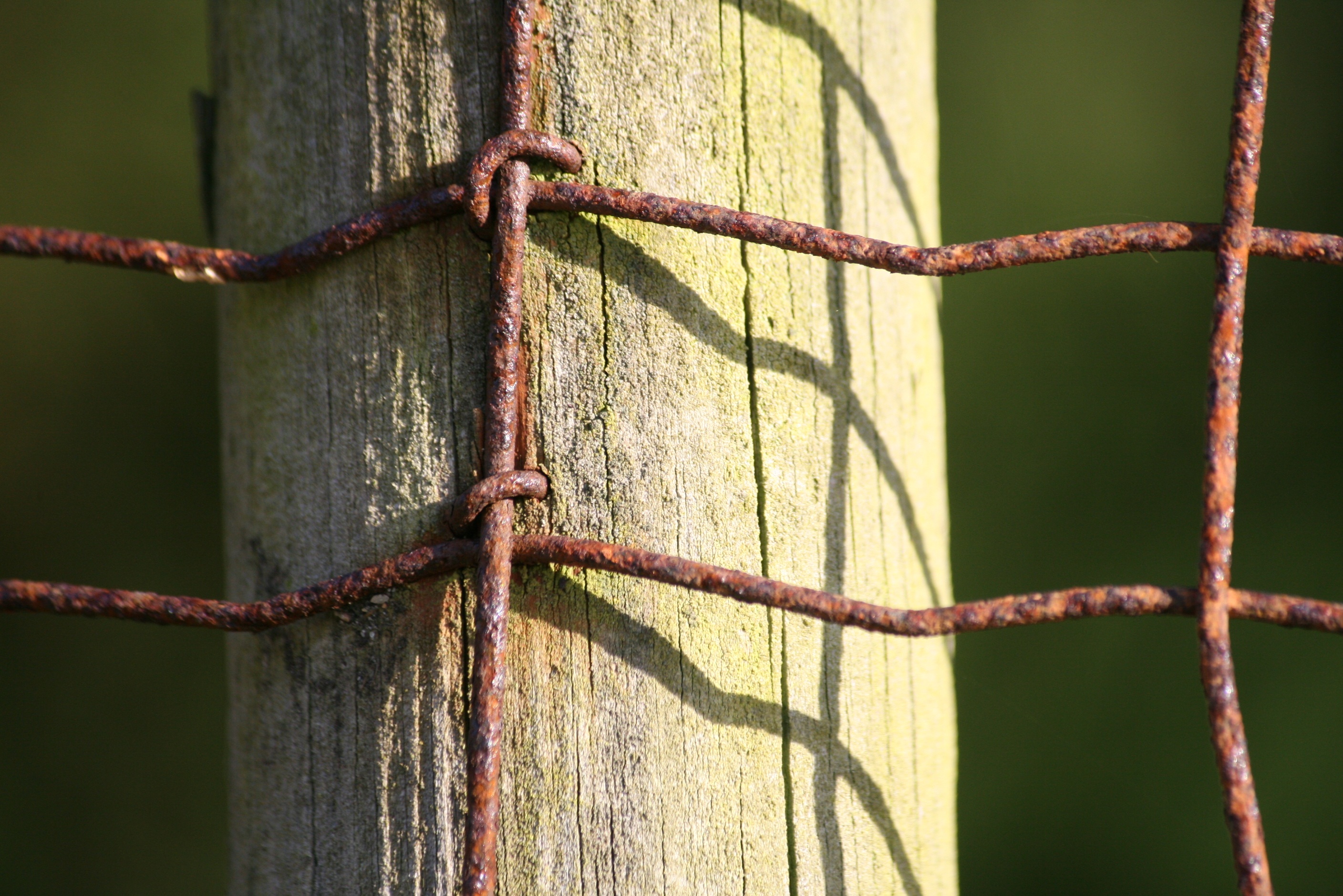 Pole Wood Wire free image download
