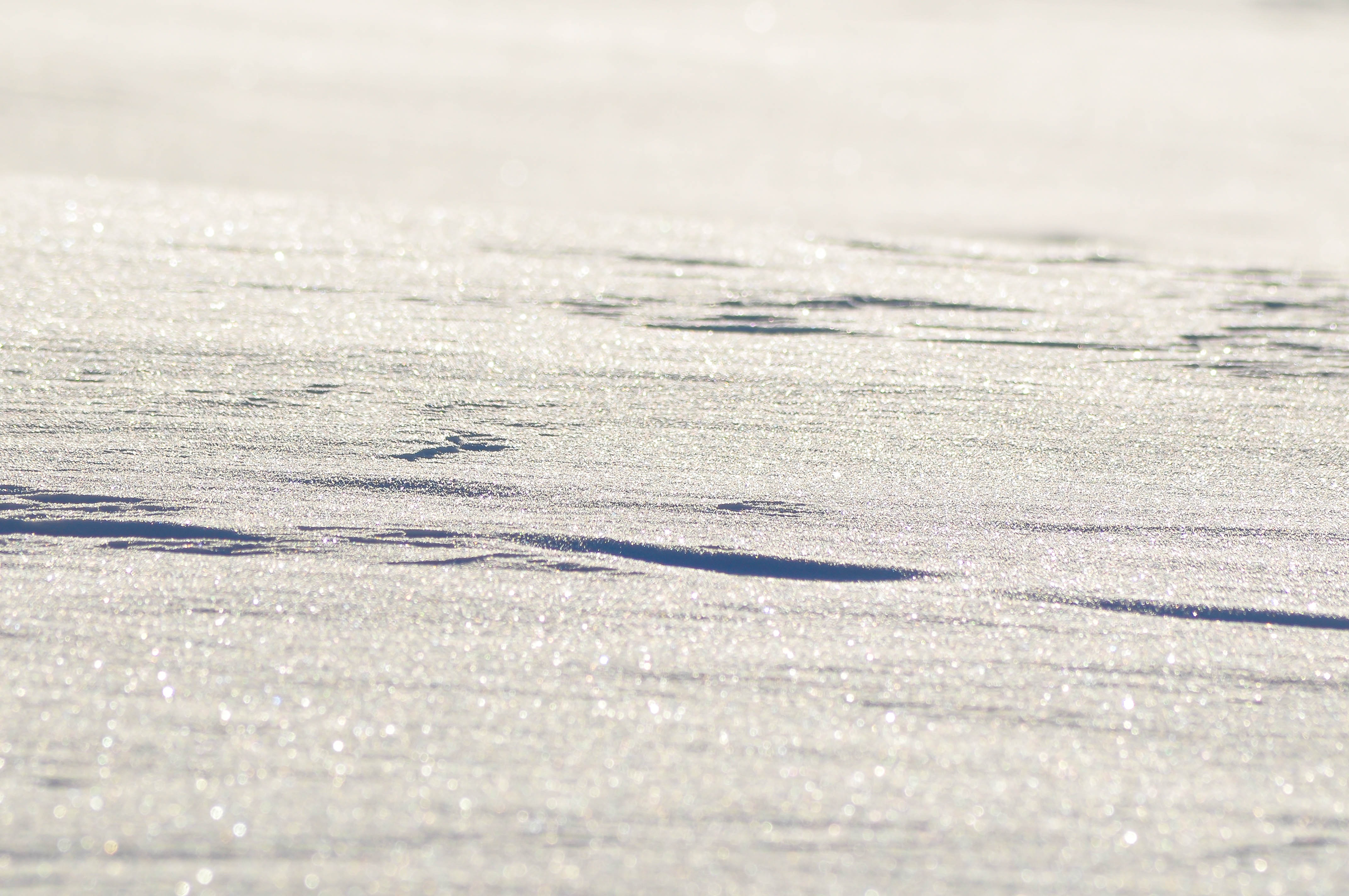 Snow White Season free image download