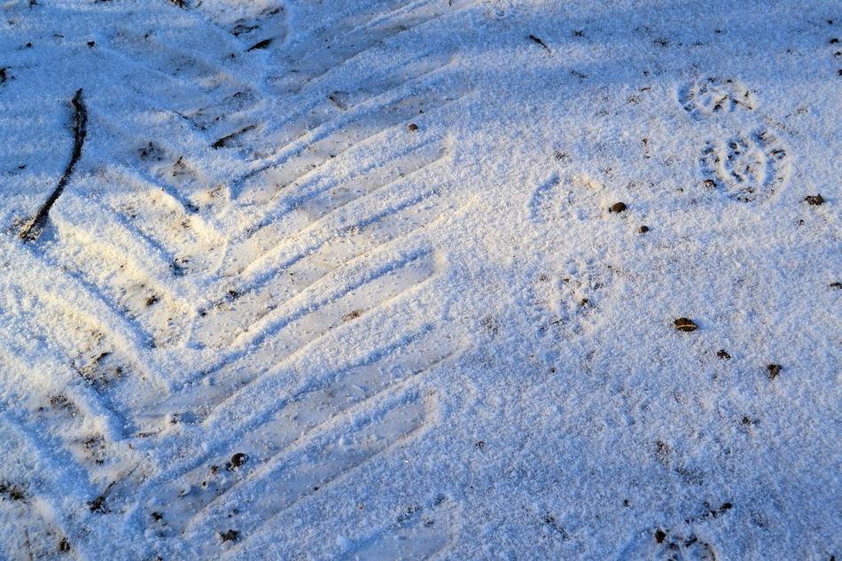 Winter Snow Trace free image download