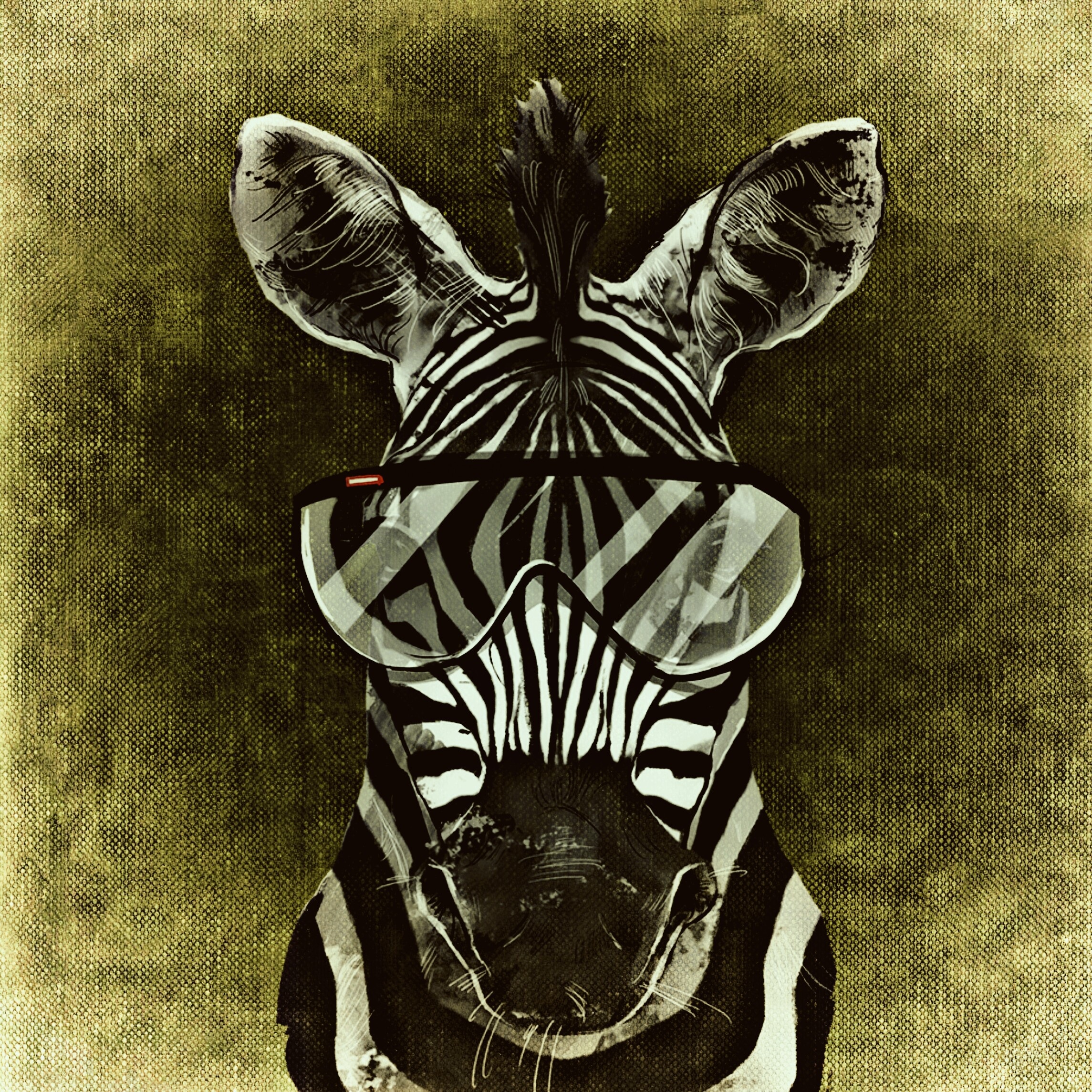 Zebra cool abstract funny glasses free image download