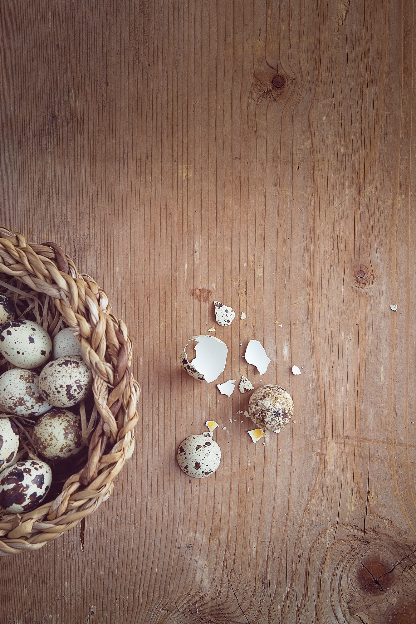 Quail Egg Small Eggs free image download