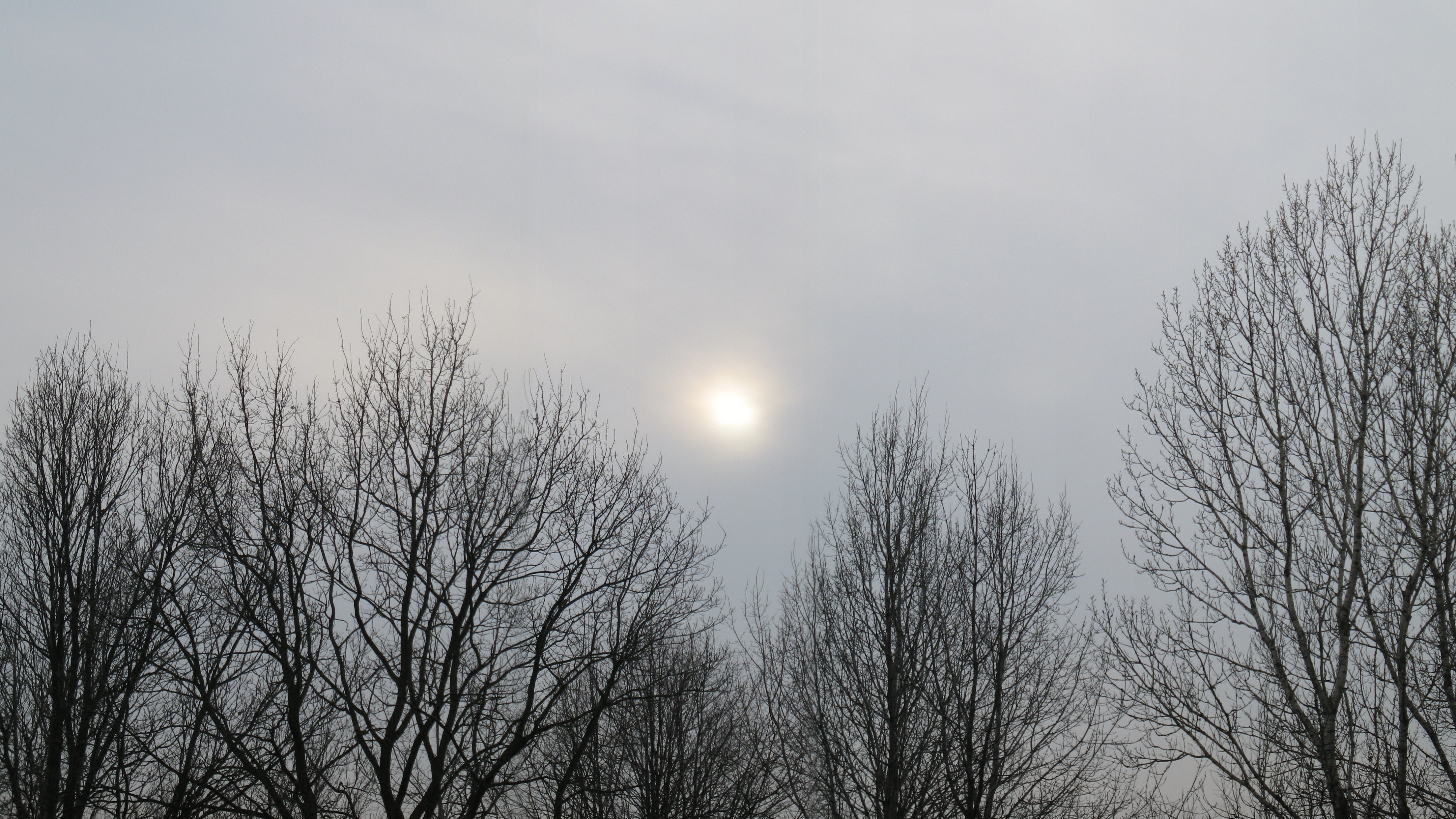 Melancholia Nostalgia Sadness free image download
