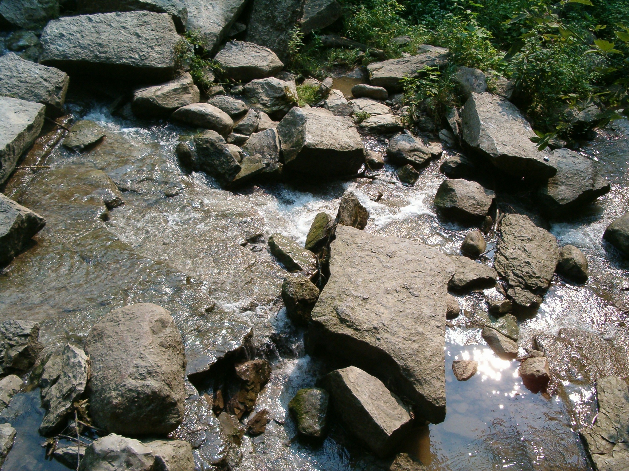 Rock Glen Conservation Stream free image download