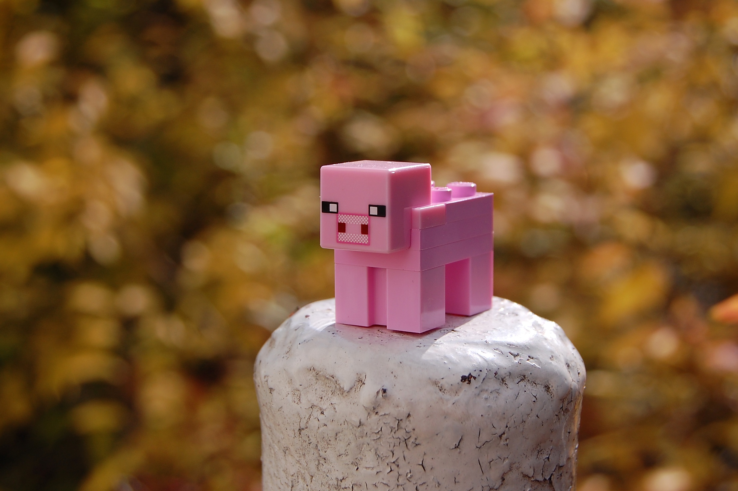 Minecraft Pig Bricks free image download