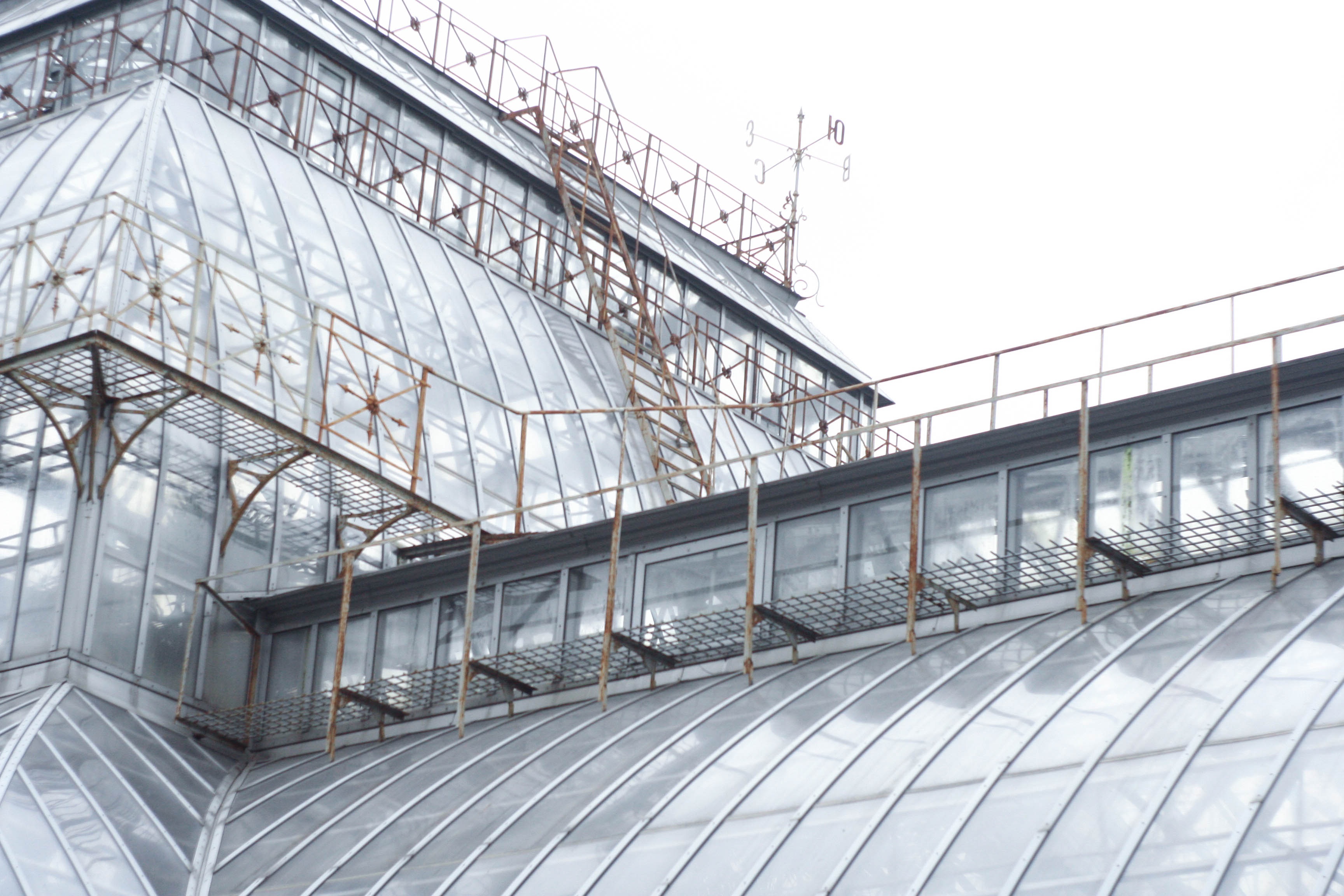 Structure Glass Light Botanical garden free image download
