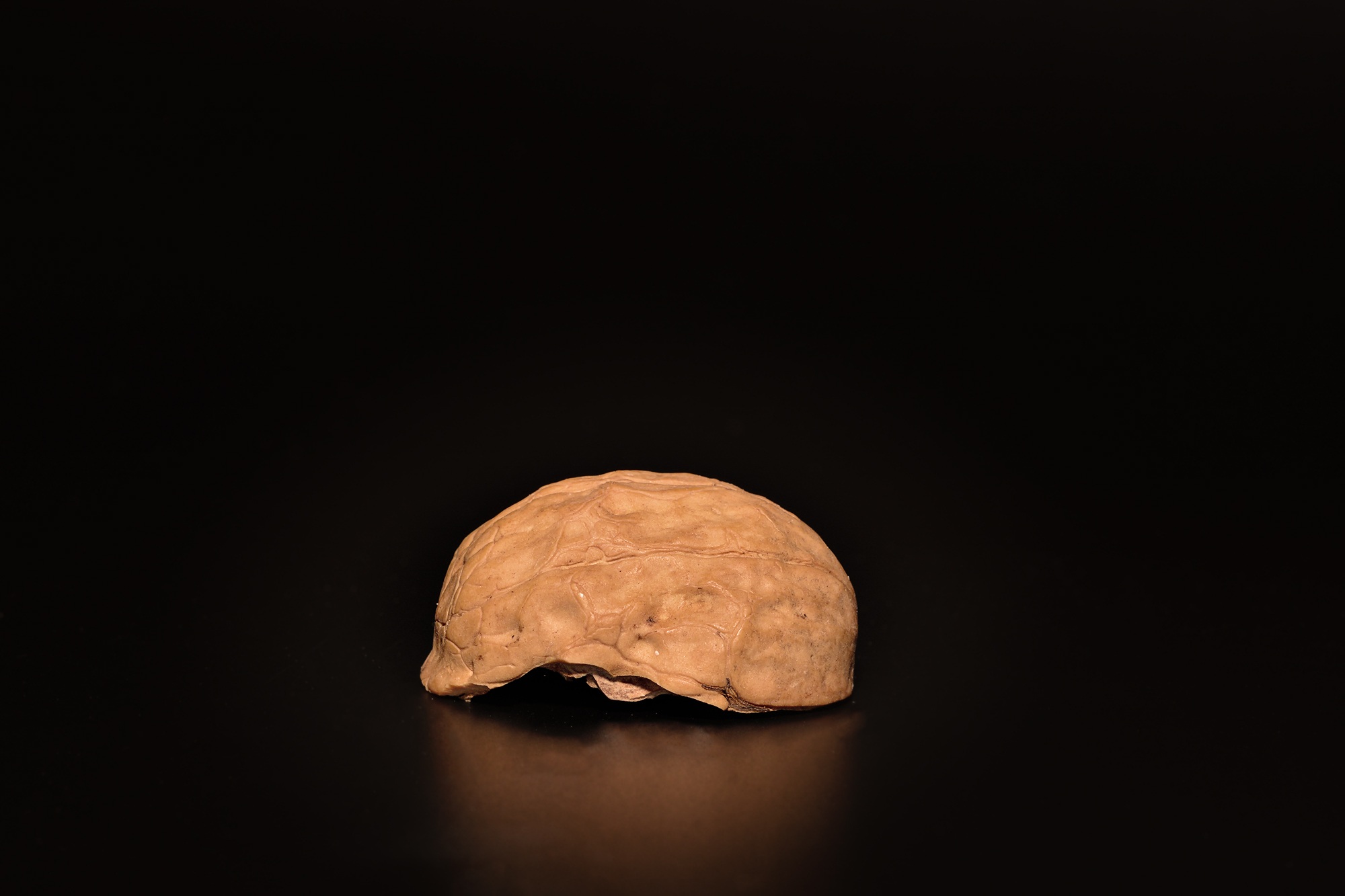 Nut Walnut Cut In Half free image download