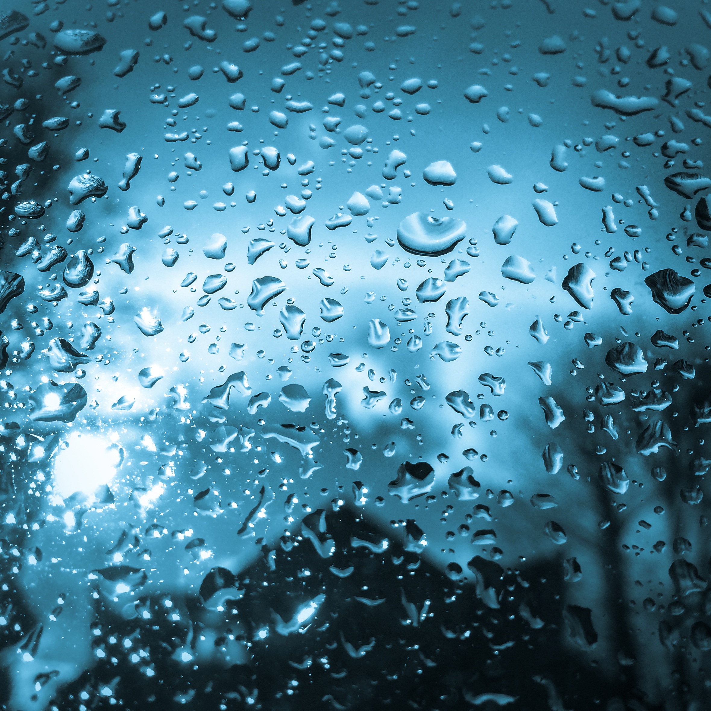 Drop Of Water Rain Raindrop free image download