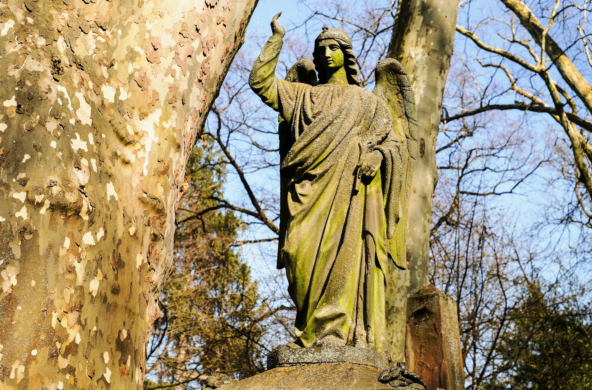 Angel Stone Sculpture on cemetery free image download
