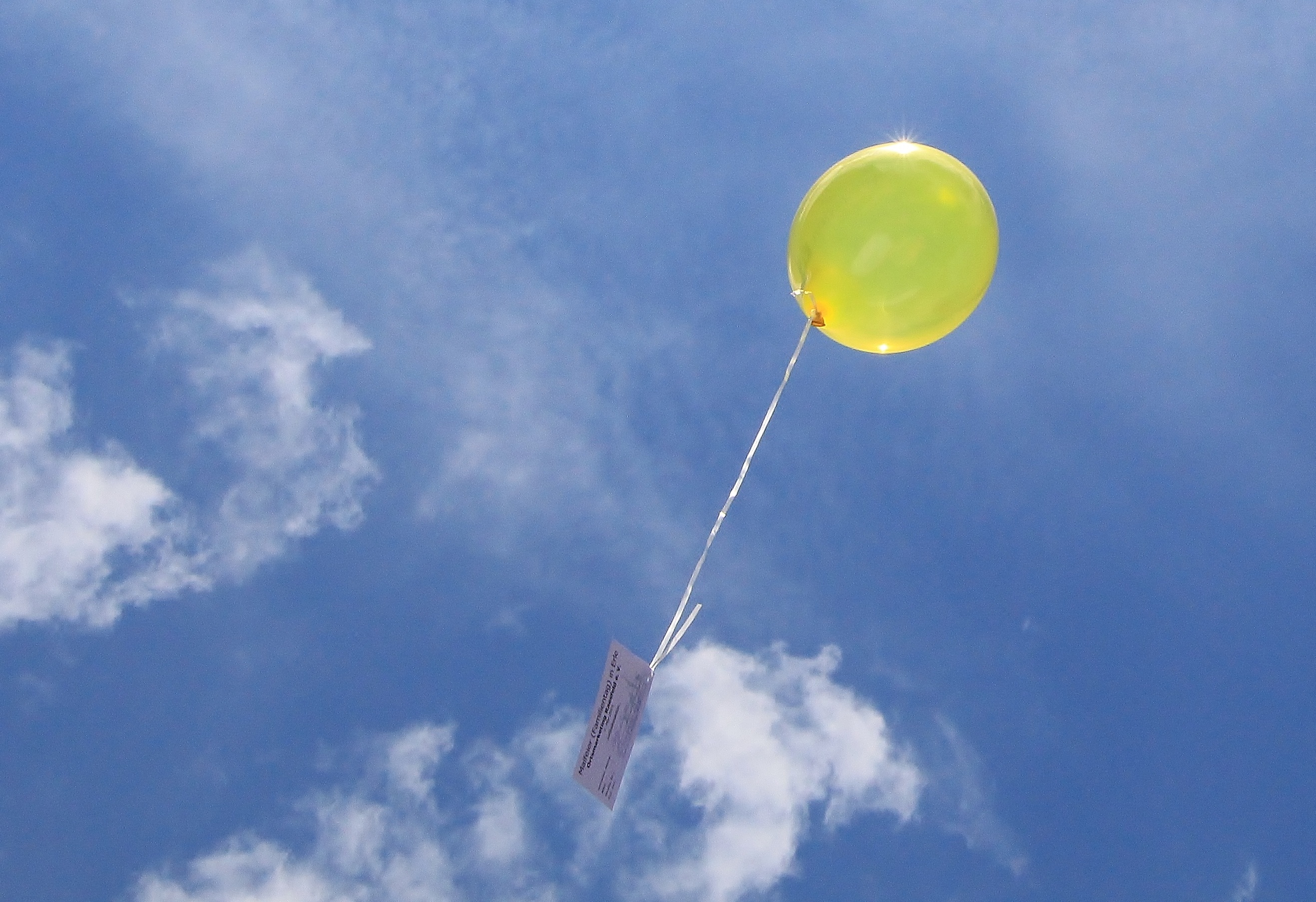 Freedom Balloon Flying free image download