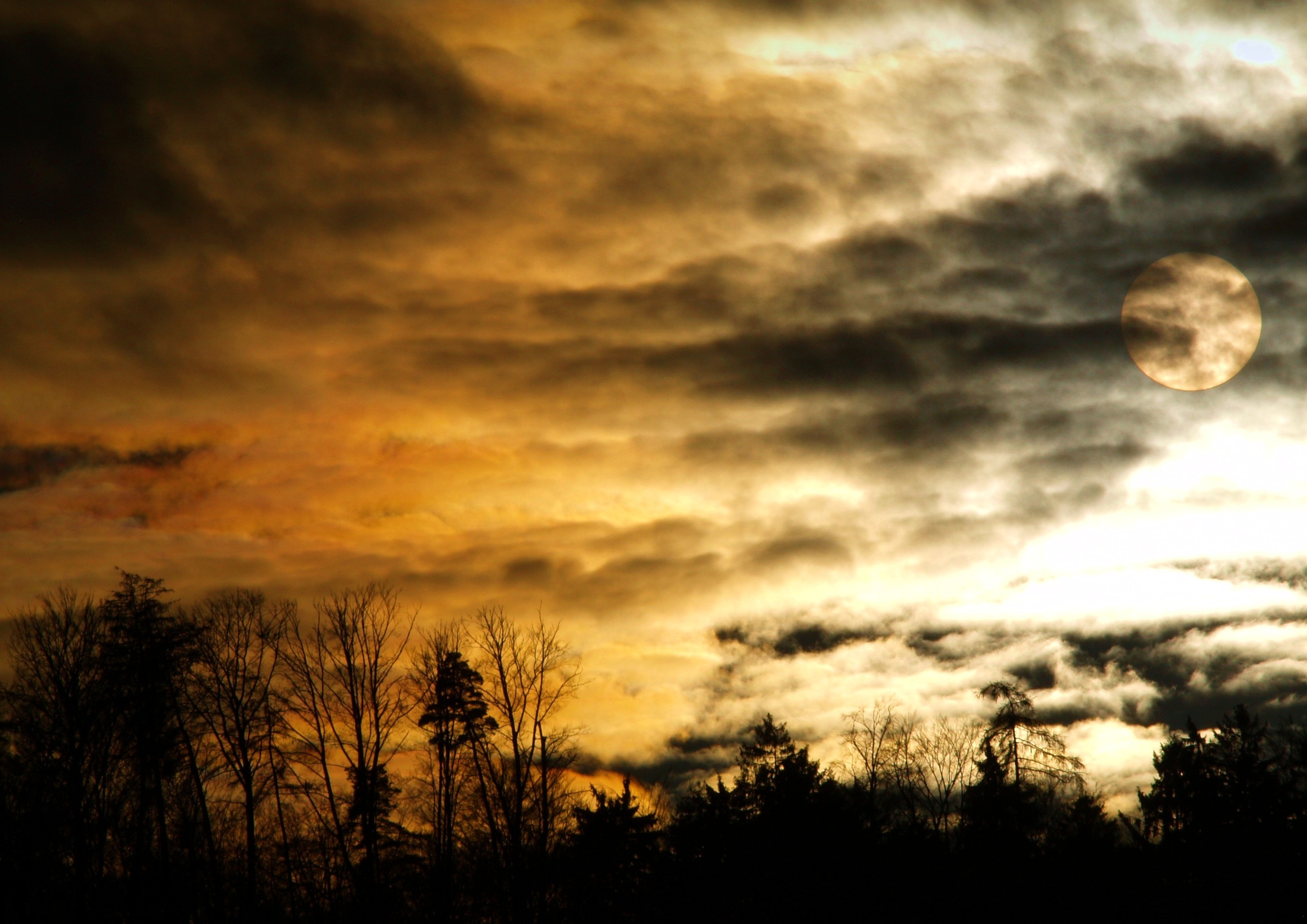 Evening Weird Mystical free image download