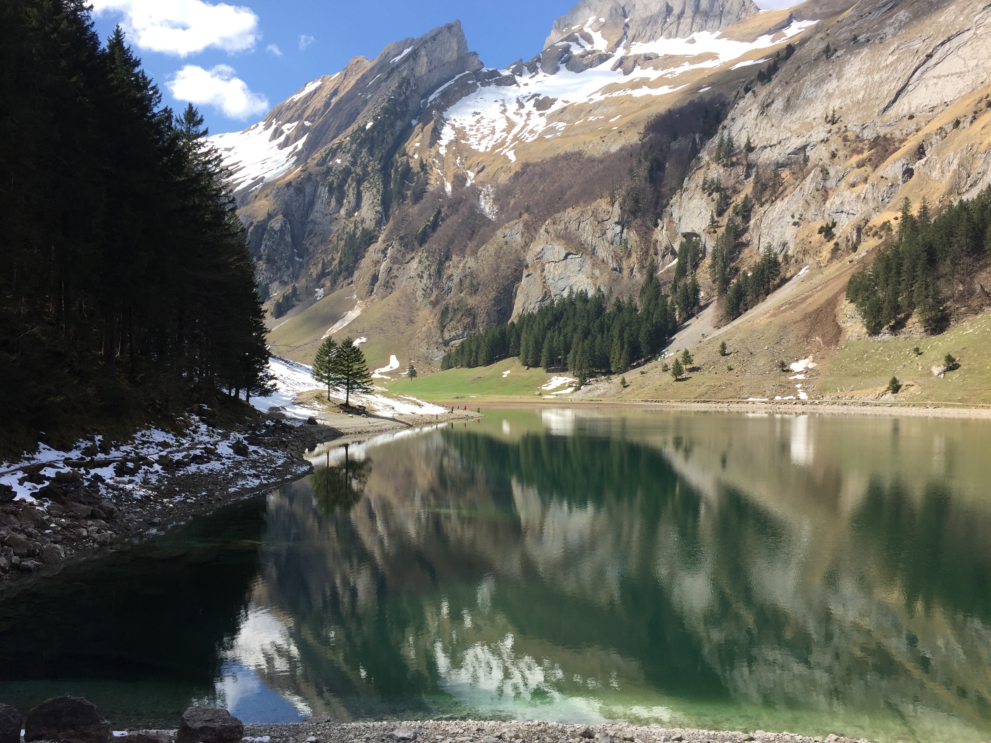 Alpine Lake Spring free image download