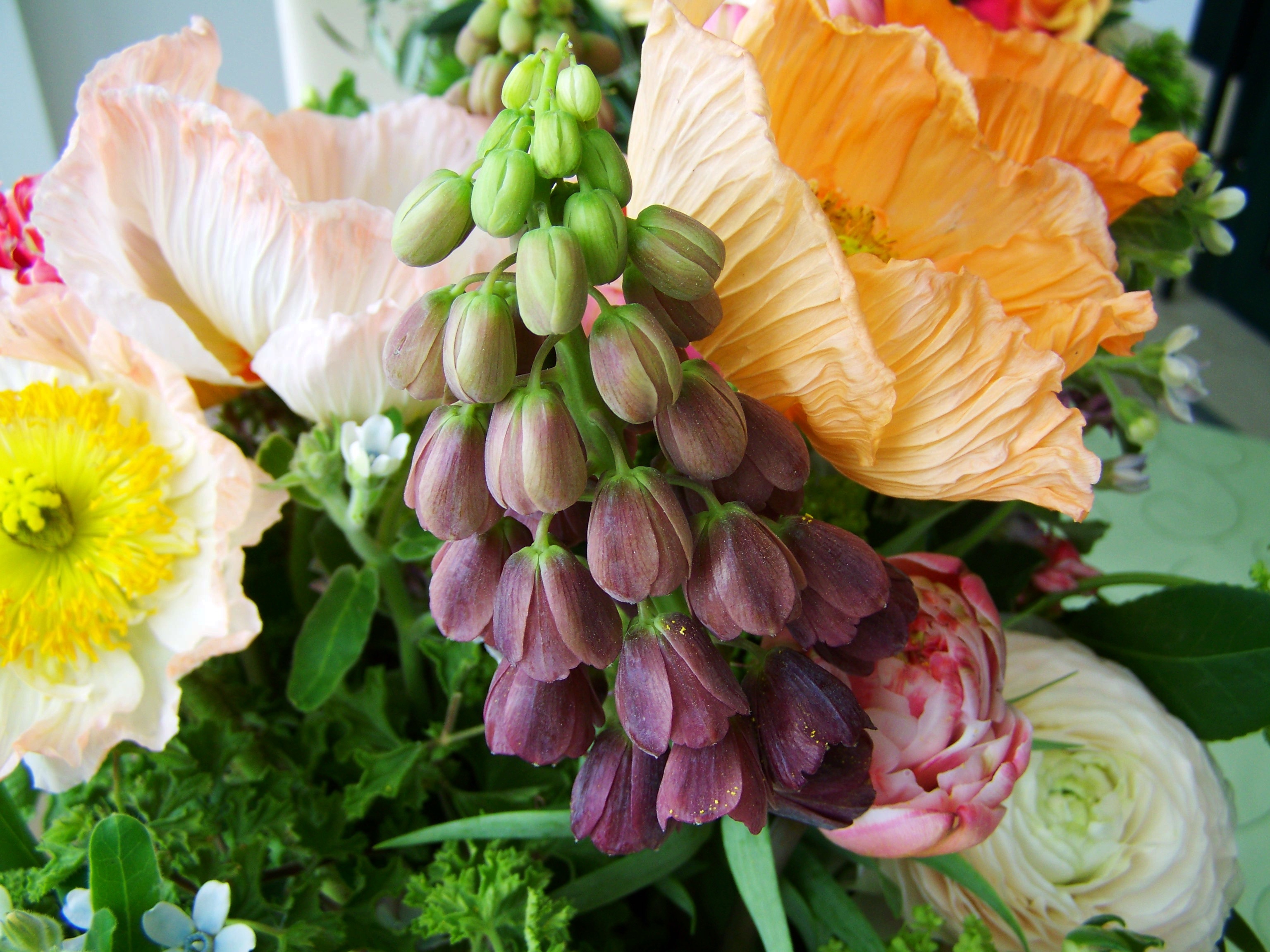 Bunch Of Cut Mixed Flowers free image download