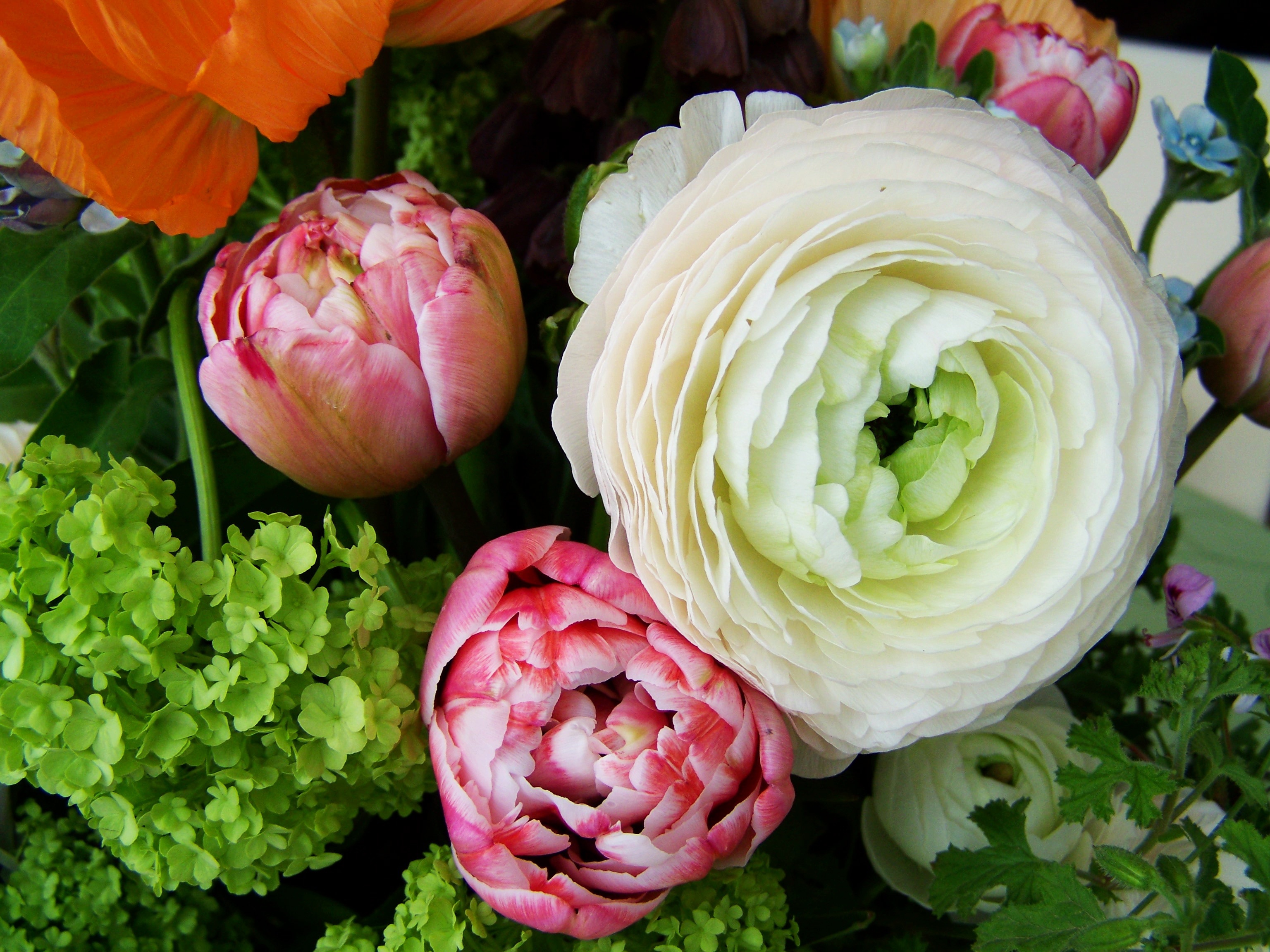 Flower Bouquet Color Cut free image download